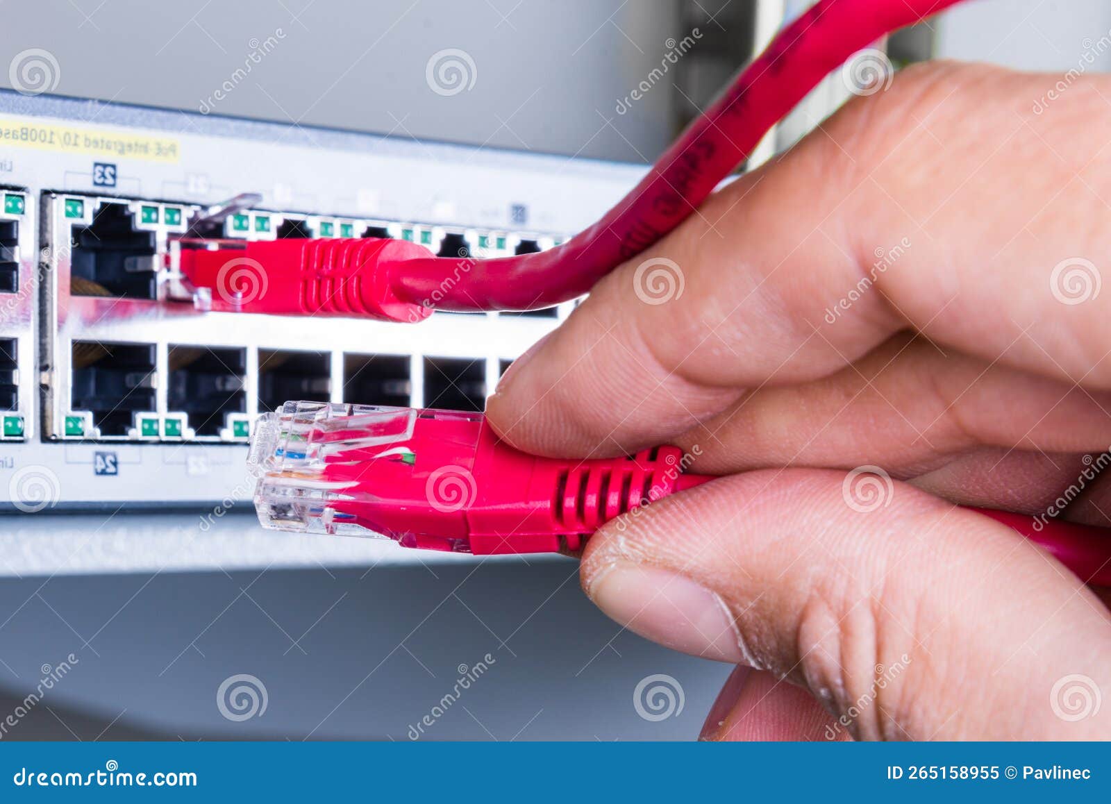Hand with Red Ethernet Cable Stock Image - Image of center, closeup ...
