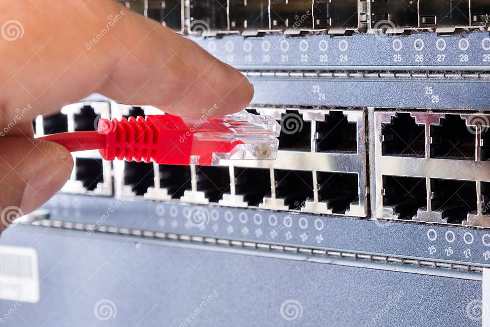 Hand with Red Ethernet Cable Stock Image - Image of inserting, rack ...