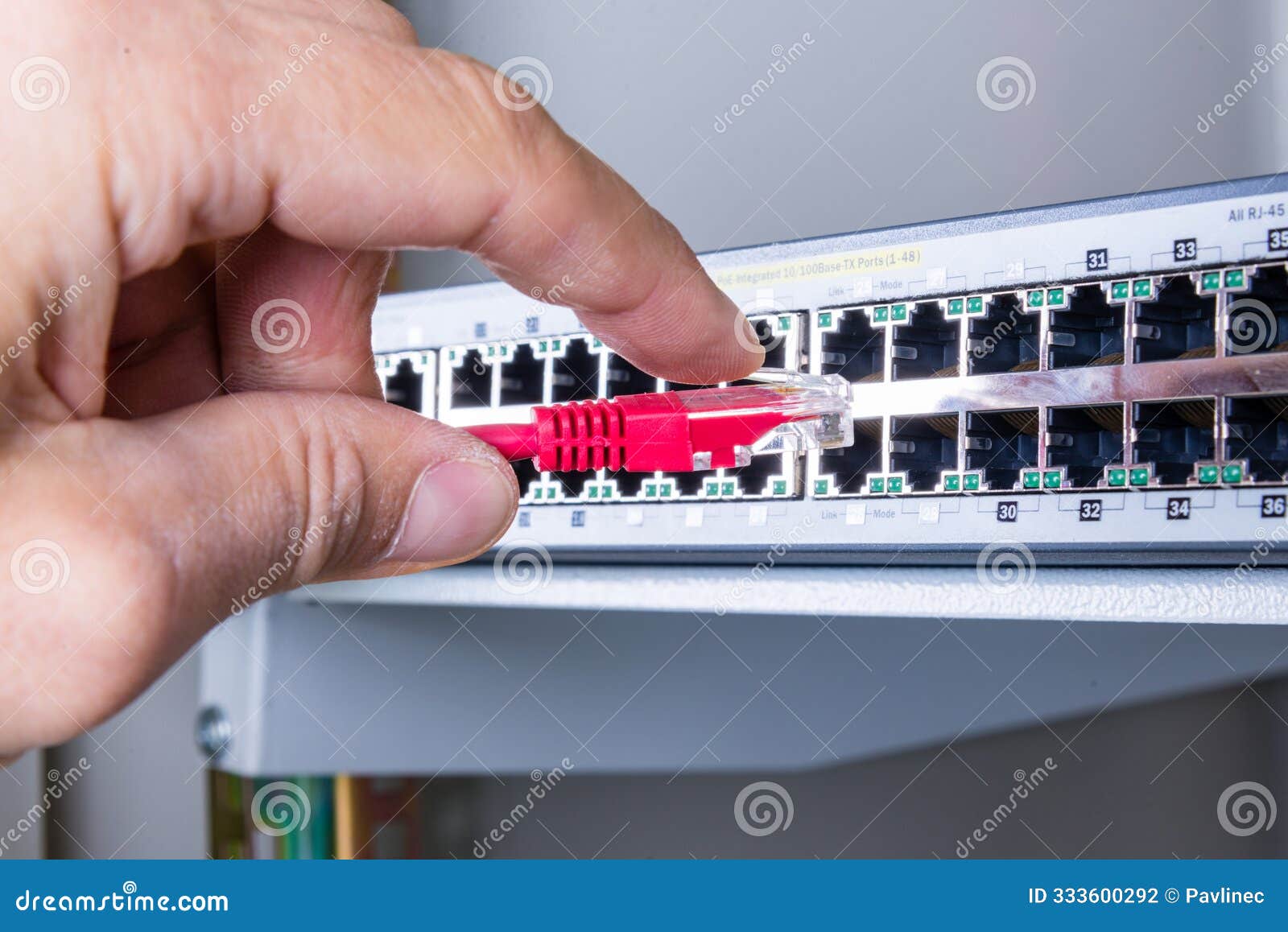 Hand with Red Ethernet Cable Stock Photo - Image of plug, server: 333600292