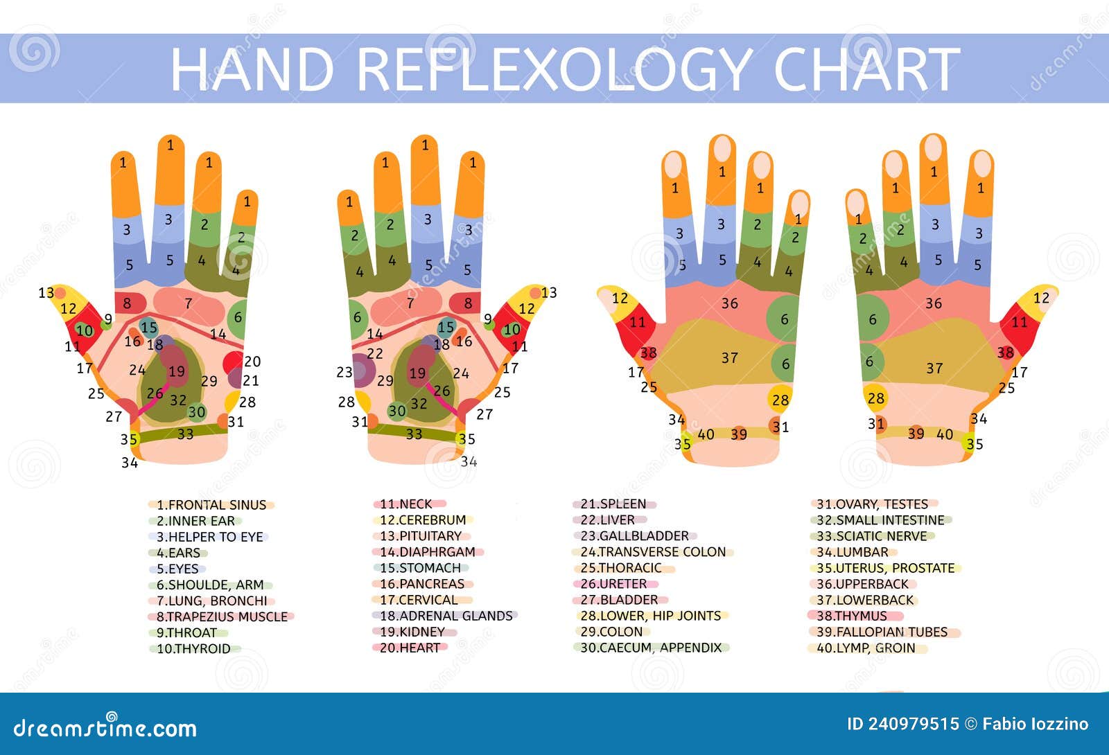 Hand Reflexology Chart with Description of the Corresponding Internal ... Hand Reflexology Chart with Description of the Corresponding Internal ...