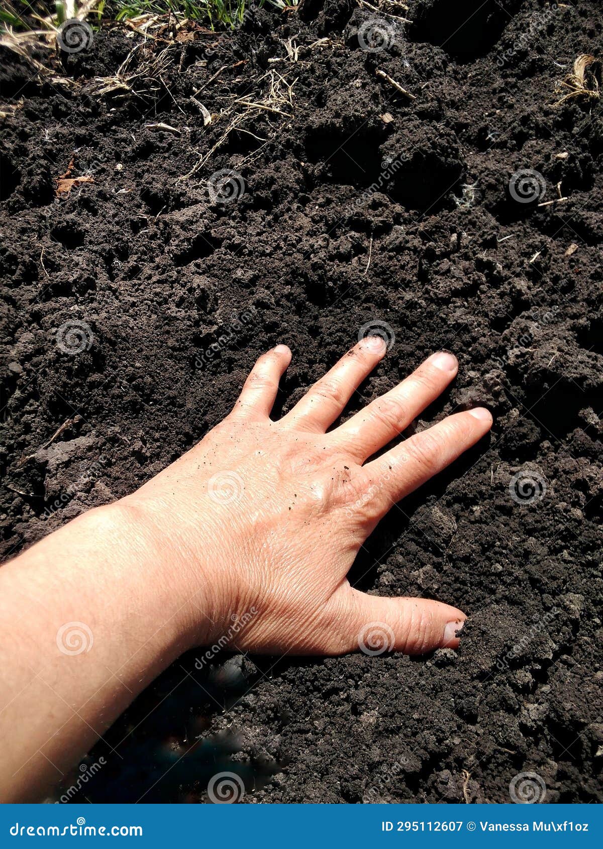 Hand Resting on the Earth, Grounded Connection Stock Image - Image of ...