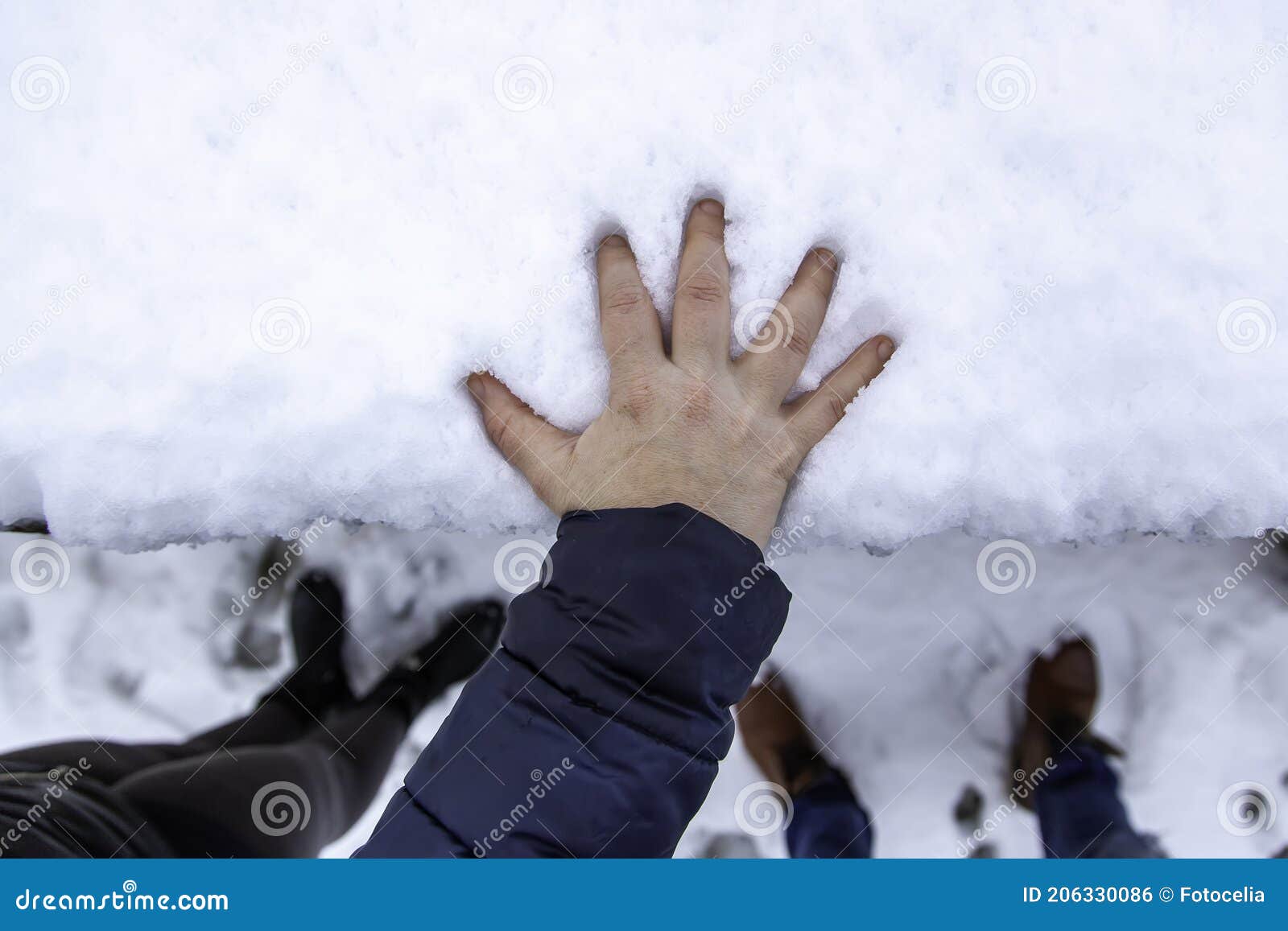 Hand on snow stock photo. Image of natural, christmas - 206330086