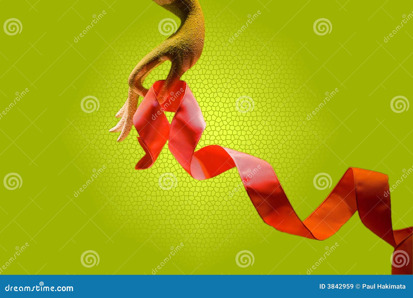 Hand with ribbon stock image. Image of style, giftwrap - 3842959