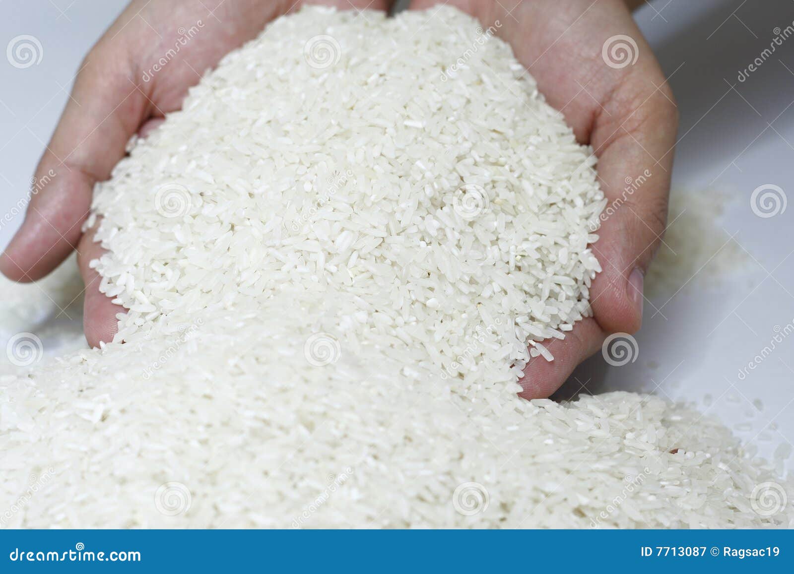 Hand with Rice stock image. Image of seed, food, harvest - 7713087