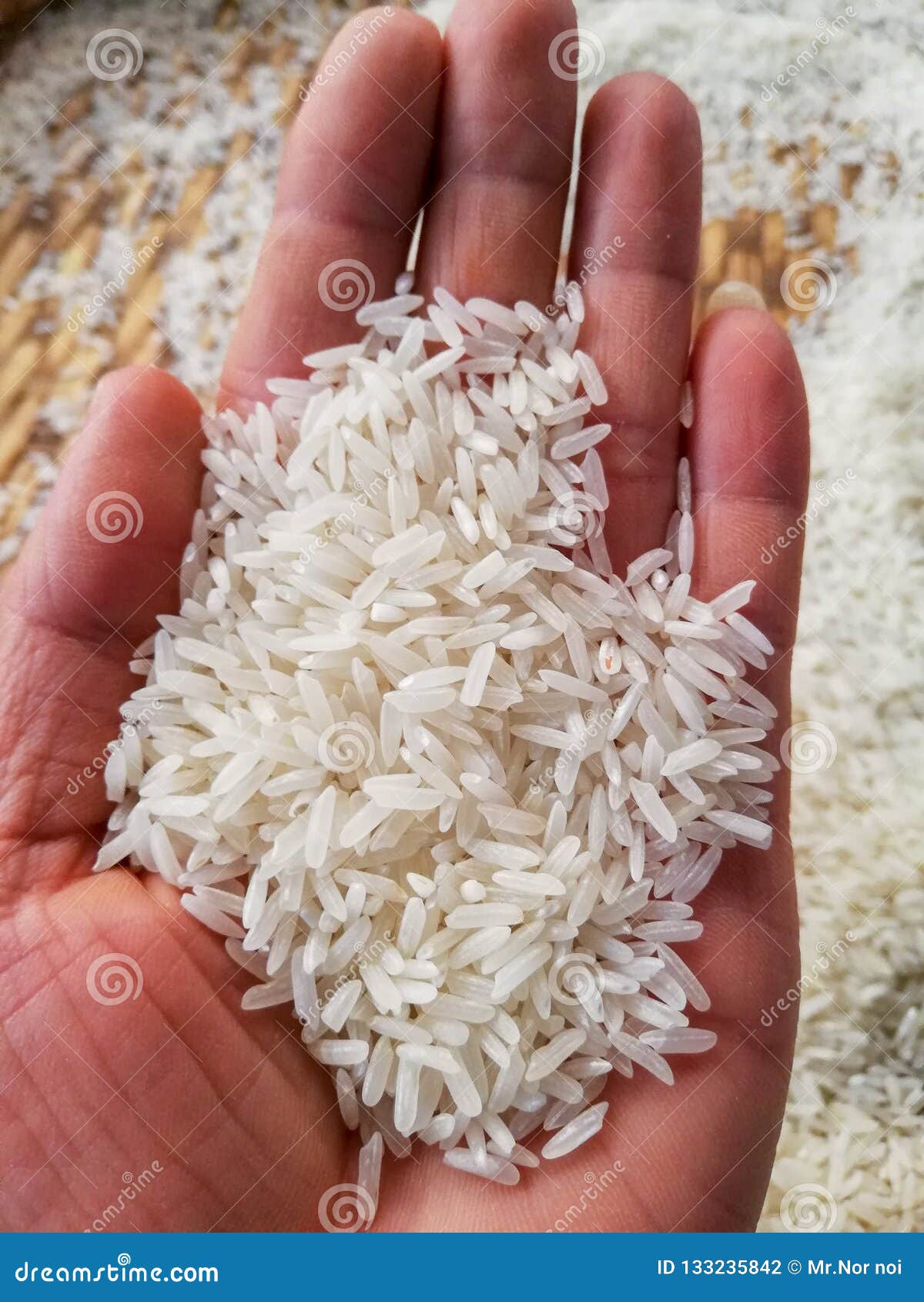 A hand in rice stock photo. Image of hand, colors, rice - 133235842