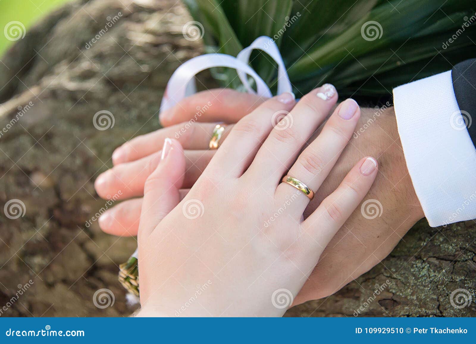 Hand in hand with rings stock photo. Image of celebration - 109929510
