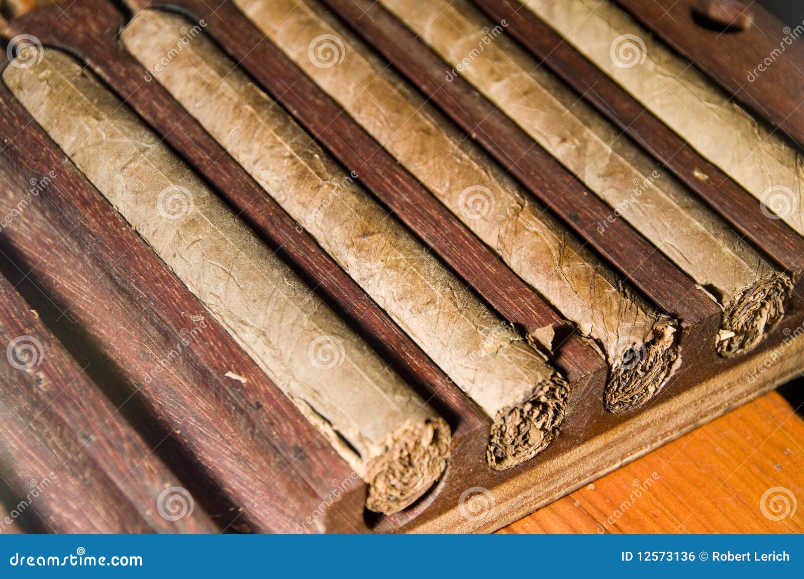 Hand Rolled Nicaraguan Cigars Fresh in a Rack Stock Photo - Image of ...