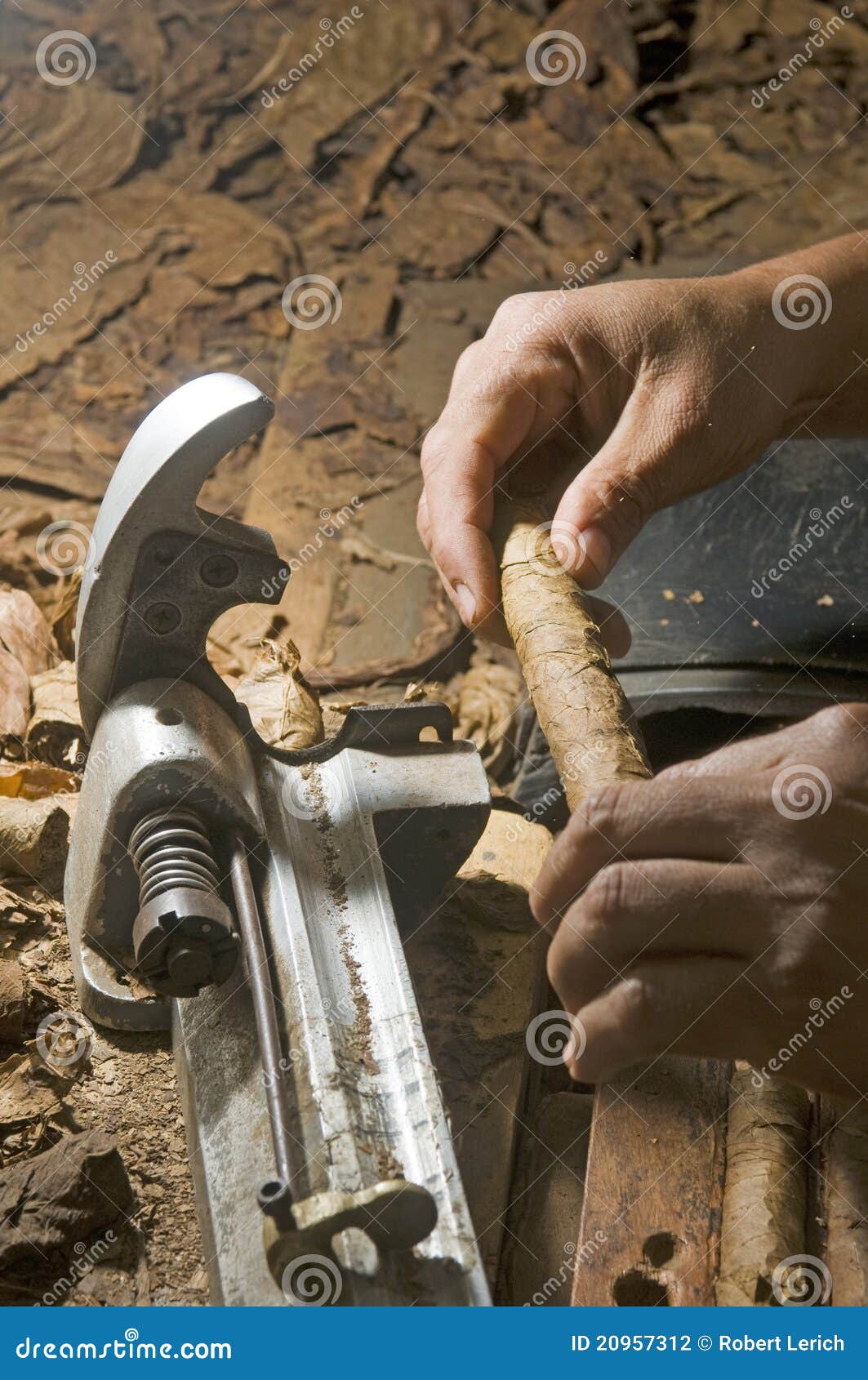 Hand Rolling Cigar Production Stock Photo - Image of wrapper, republic ...