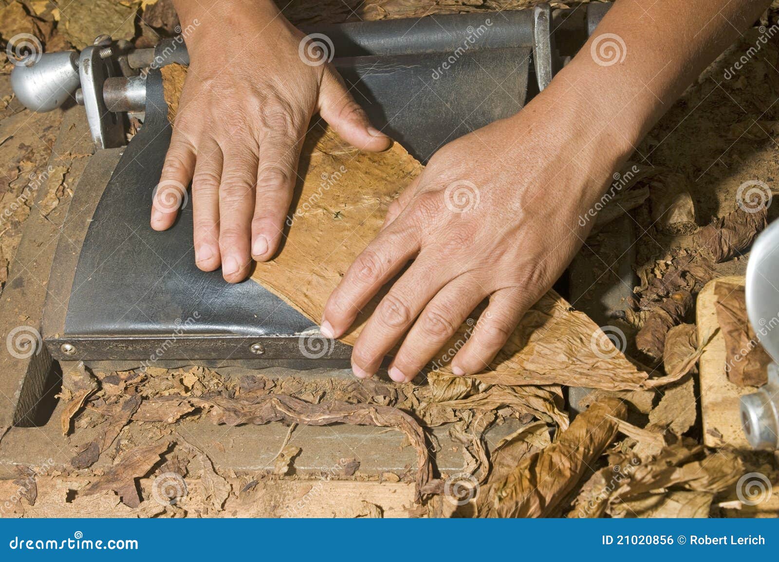 Hand Rolling Cigar Production Stock Photo - Image of leaf, roll: 21020856