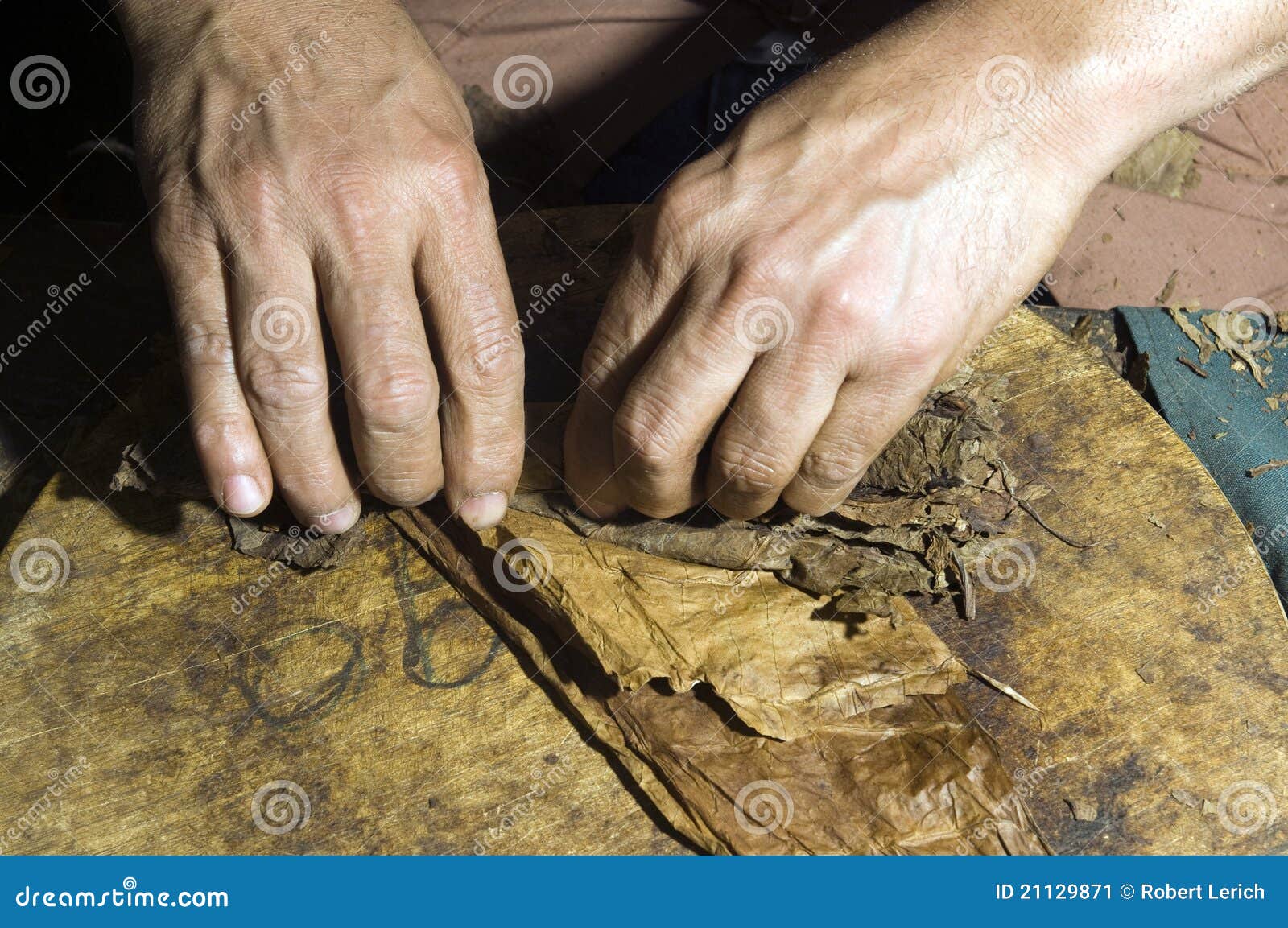 Hand Rolling Tobacco Leaves for Cigar Production Stock Image - Image of ...