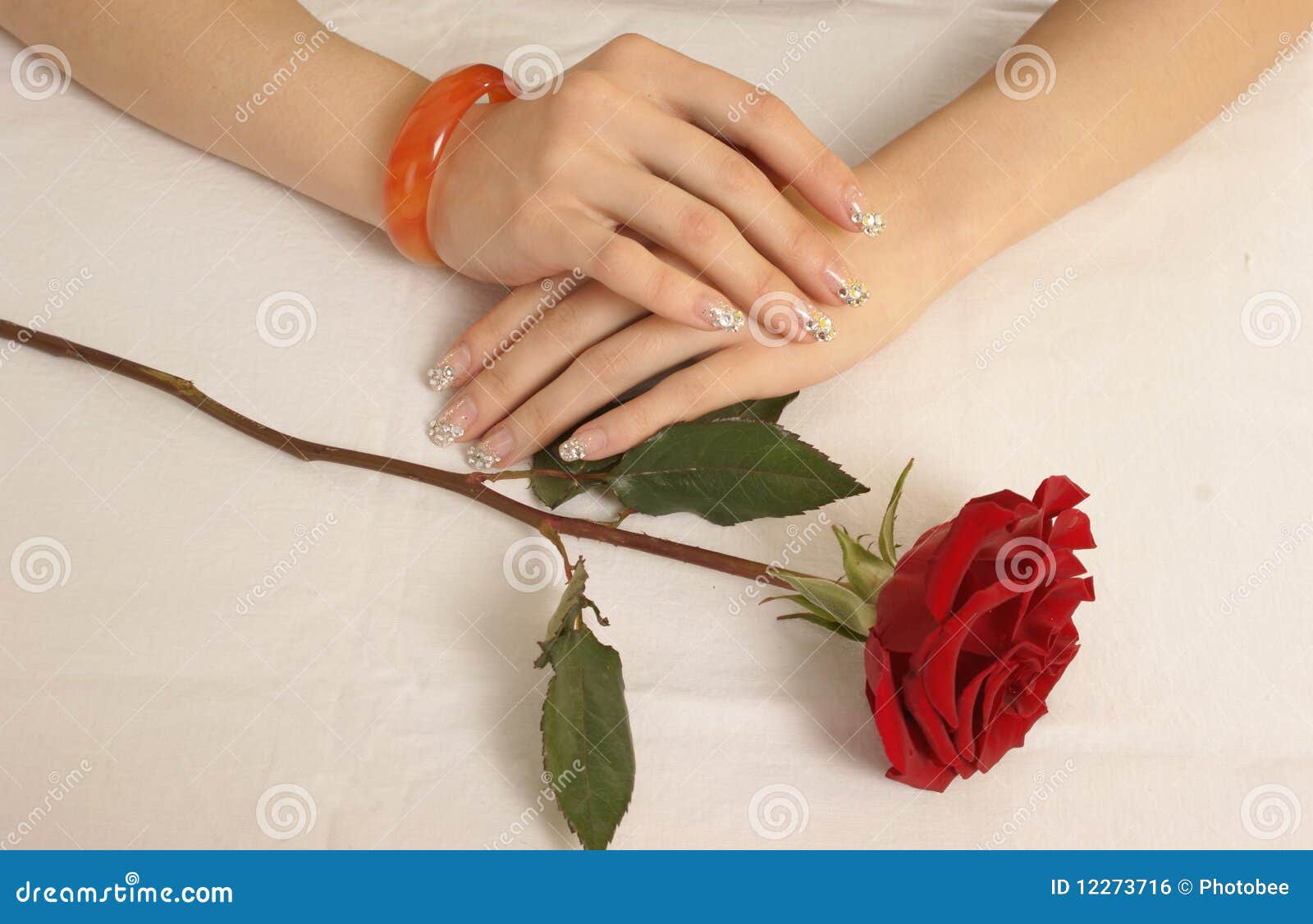 Hand roses stock photo. Image of finger, nail, bright - 12273716
