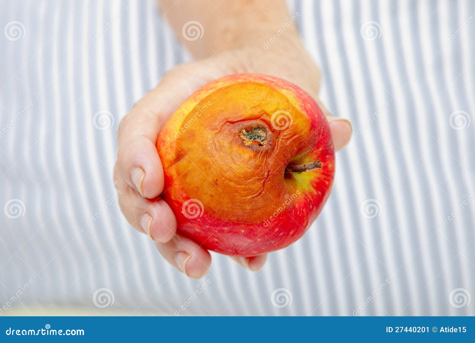 Hand with rotten apple stock image. Image of woman, basket - 27440201