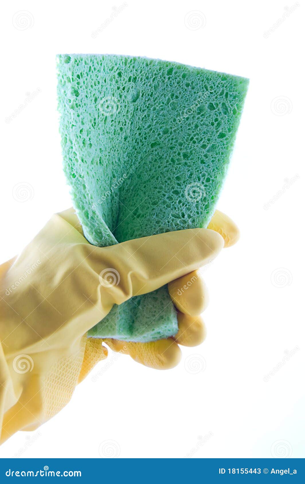 Green Sponge Stock Image | CartoonDealer.com #43383763