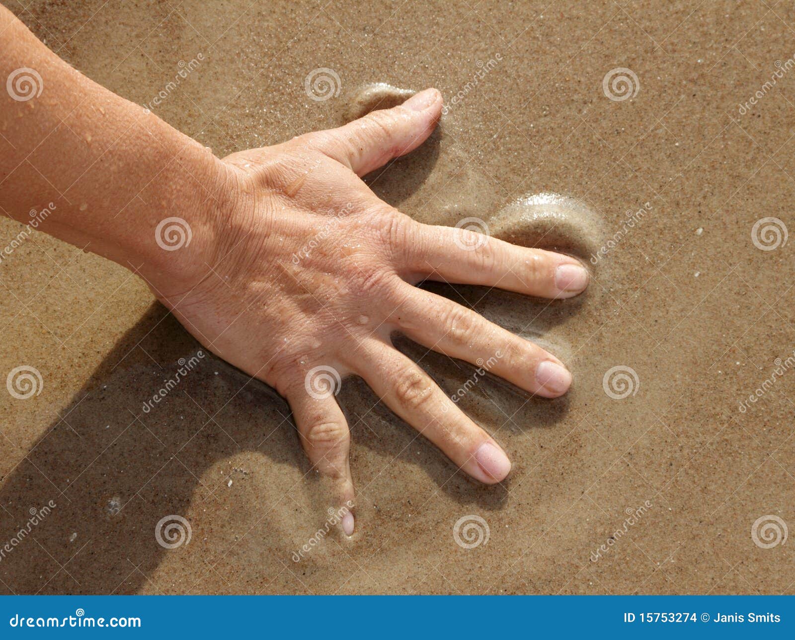 Hand on sand. stock photo. Image of muscle, textured - 15753274