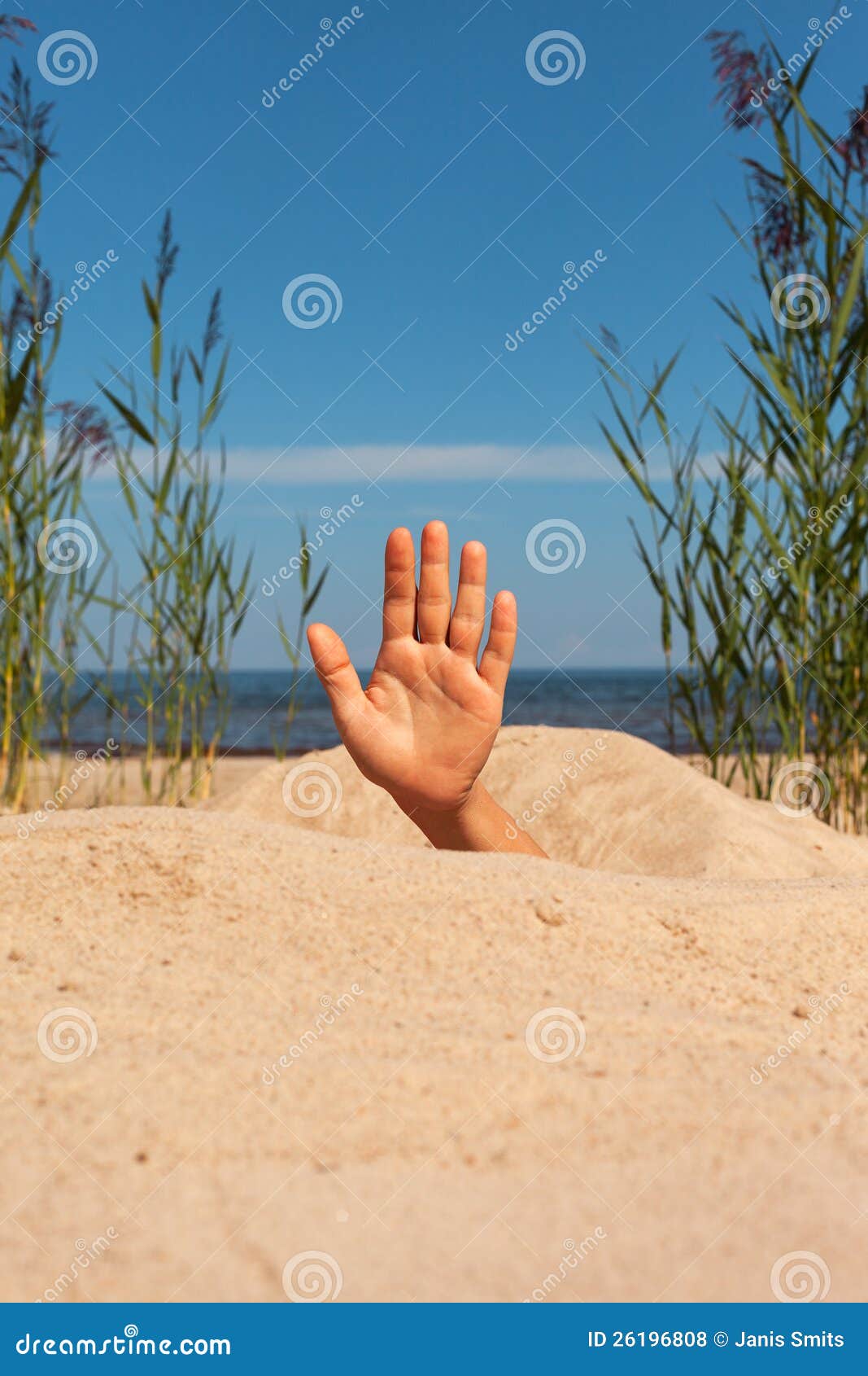 Hand in sand. stock photo. Image of human, reed, leisure - 26196808