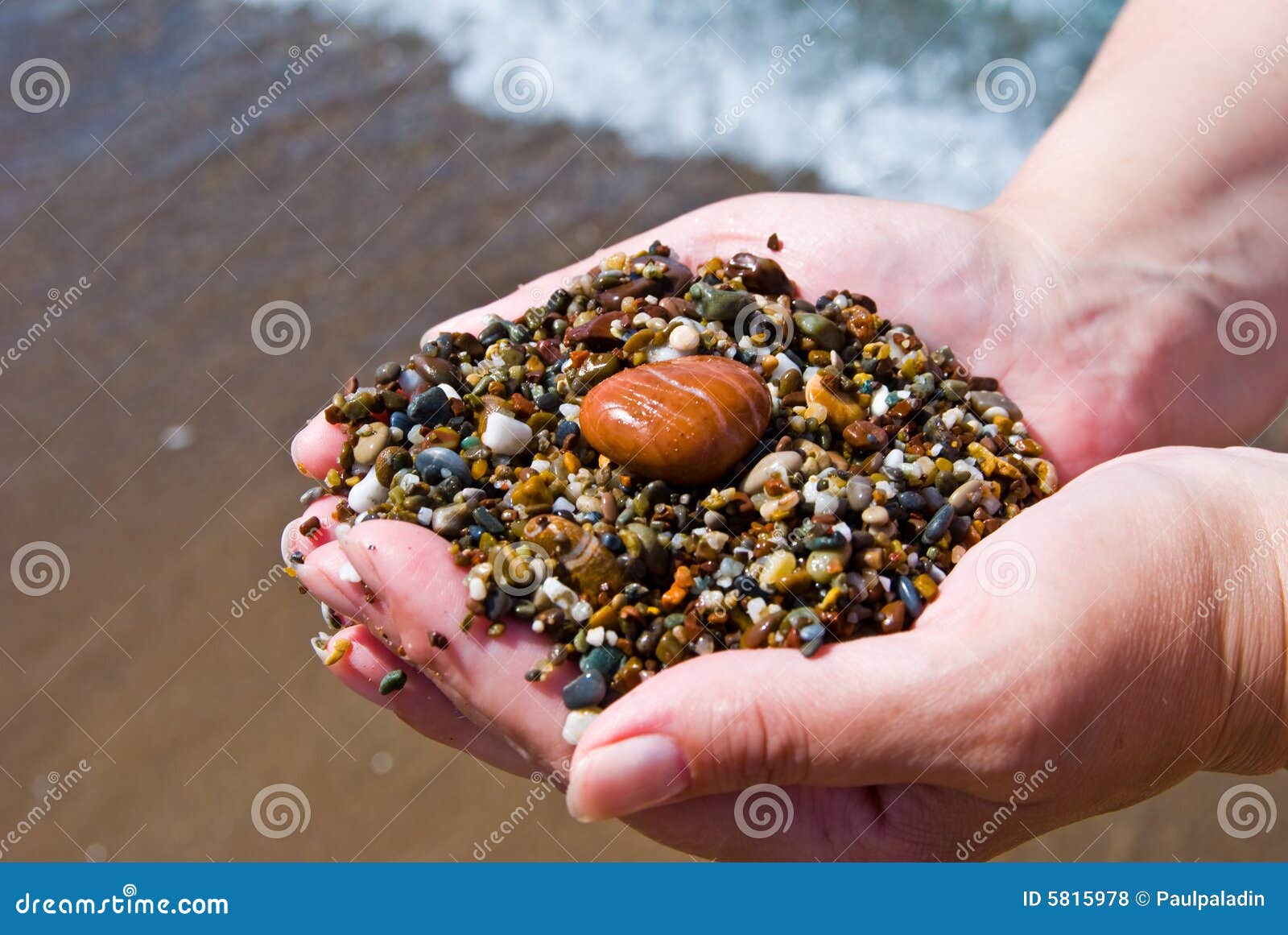 Hand with the sand stock photo. Image of paradise, solar - 5815978