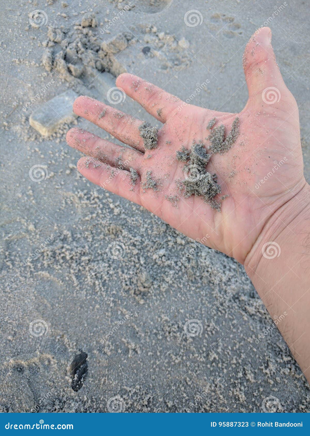 Hand in sand stock image. Image of hamptonbeach, beach - 95887323