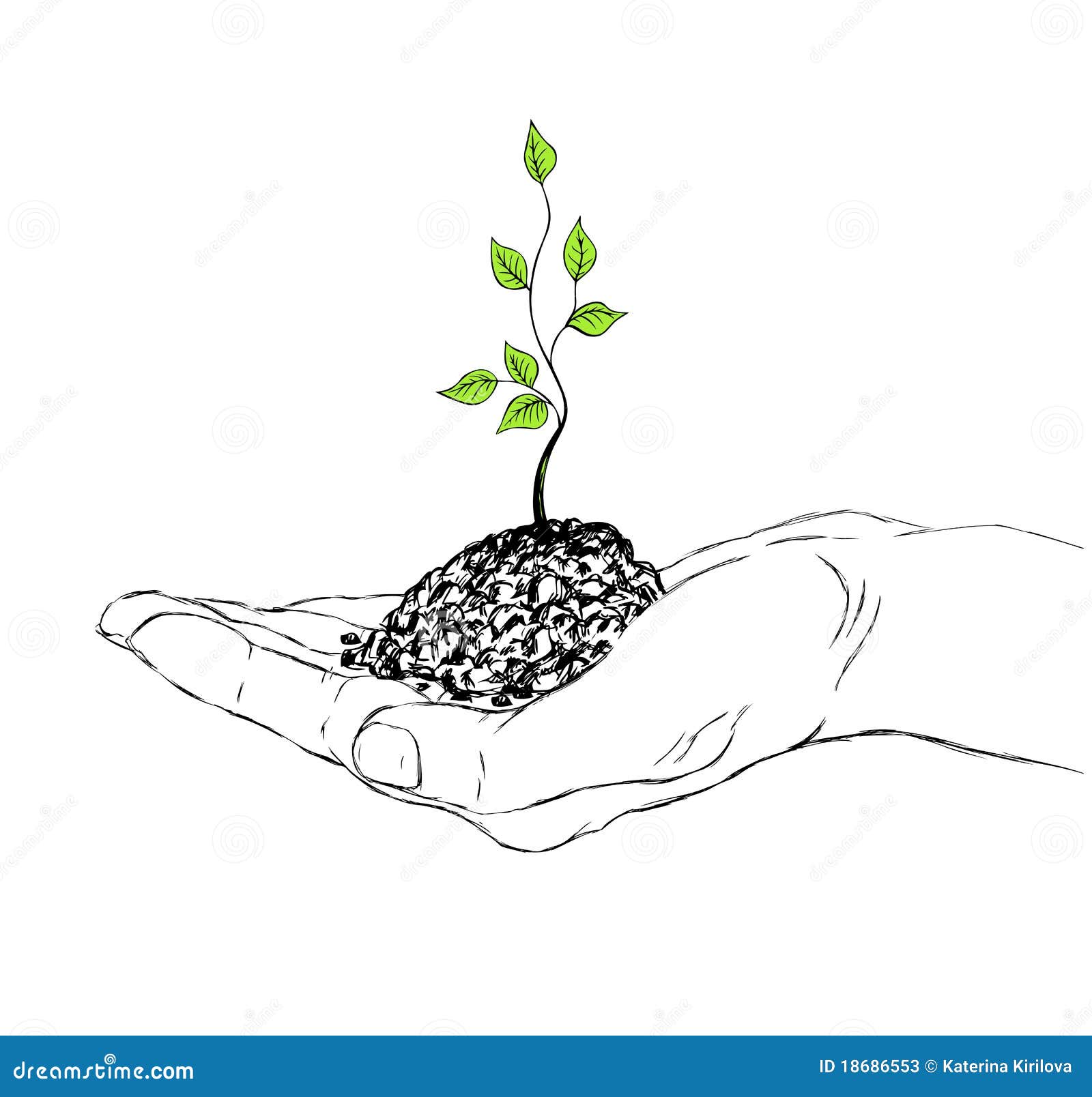 Sapling Cartoon Vector | CartoonDealer.com #30362375