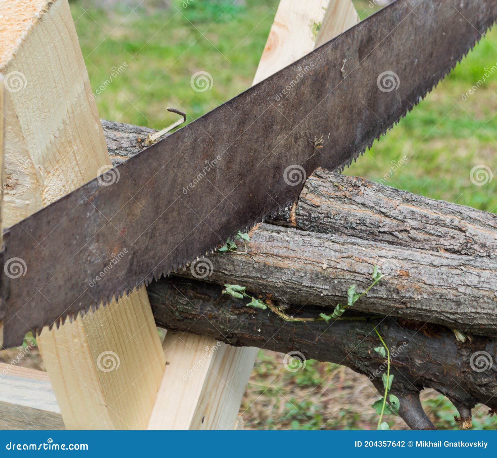 Hand saw in log stock photo. Image of logger, tool, construction ...