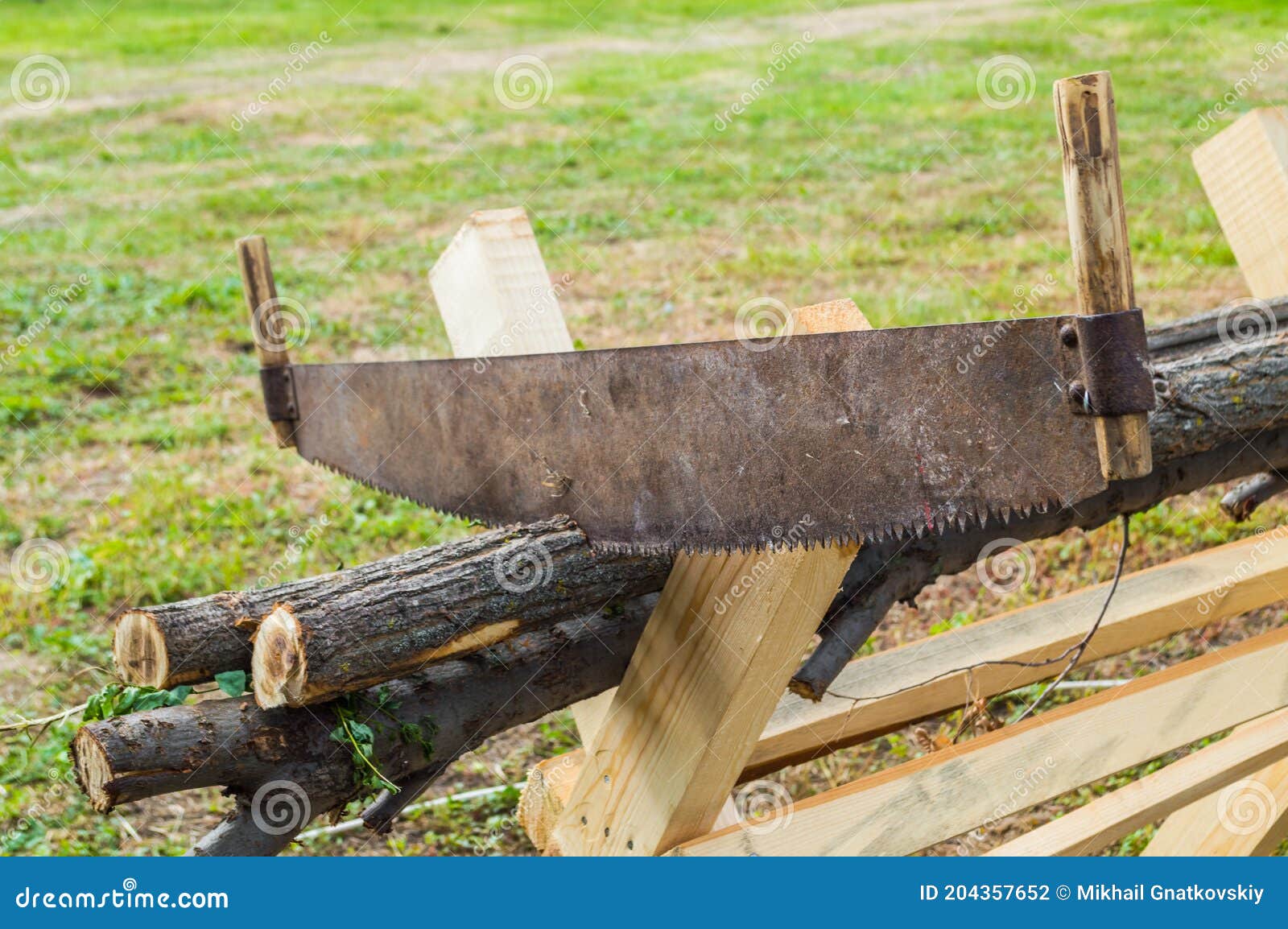 Hand saw in log stock photo. Image of object, sharp - 204357652