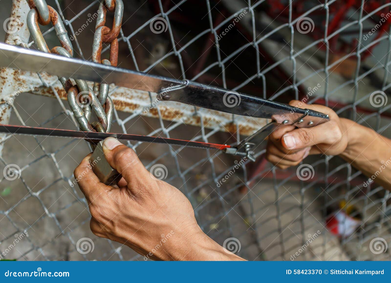 Hand saw stock photo. Image of security, hold, human - 58423370