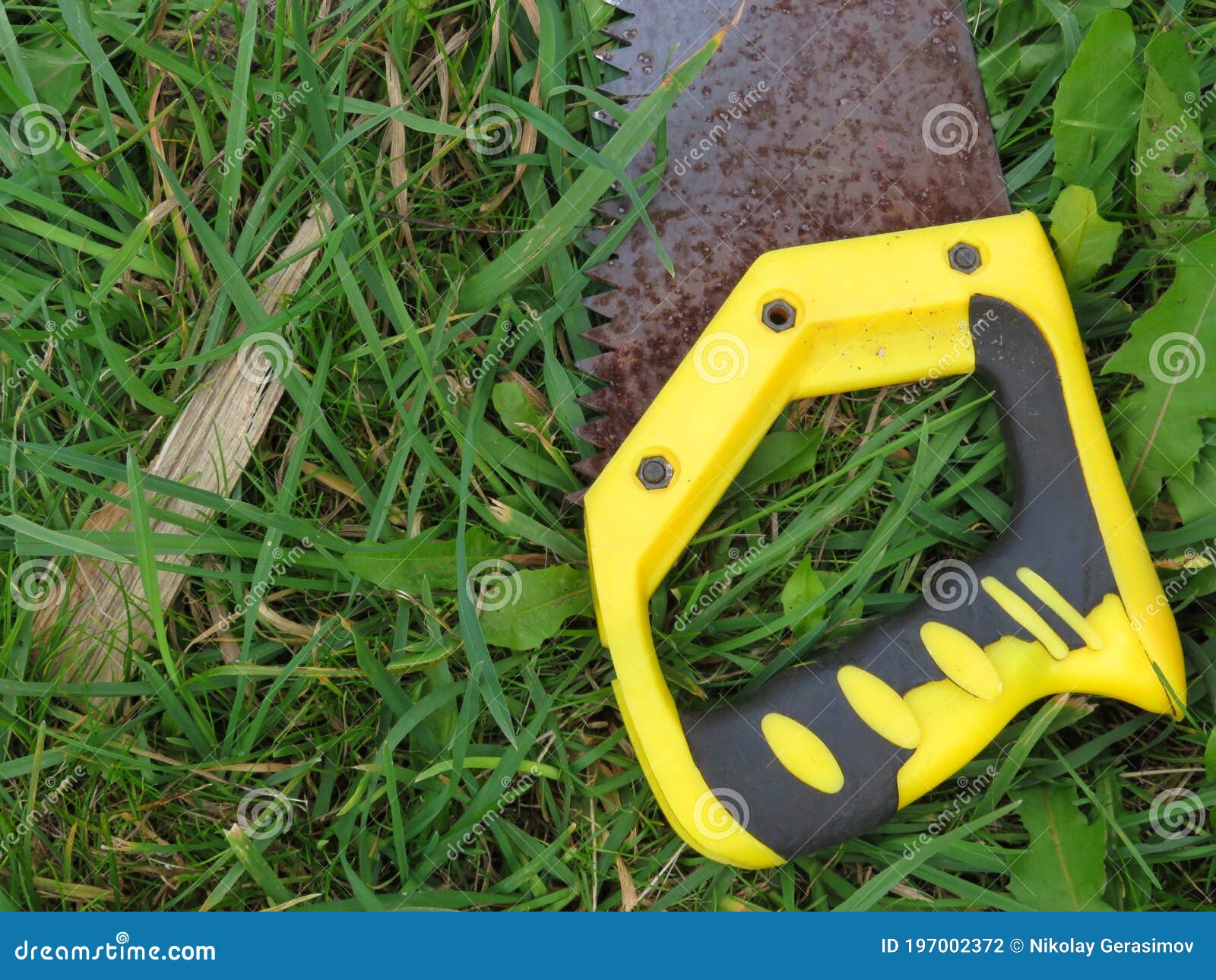 Hand Saw in the Background of Green Grass Stock Photo - Image of ...
