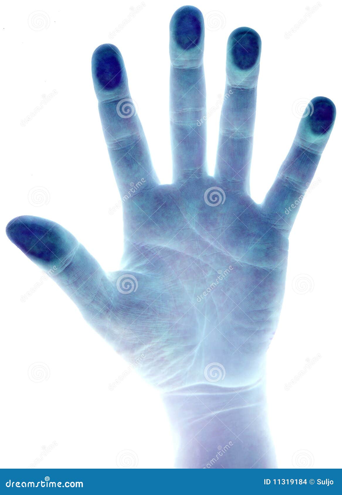 Hand scan stock photo. Image of identify, accessibility - 11319184