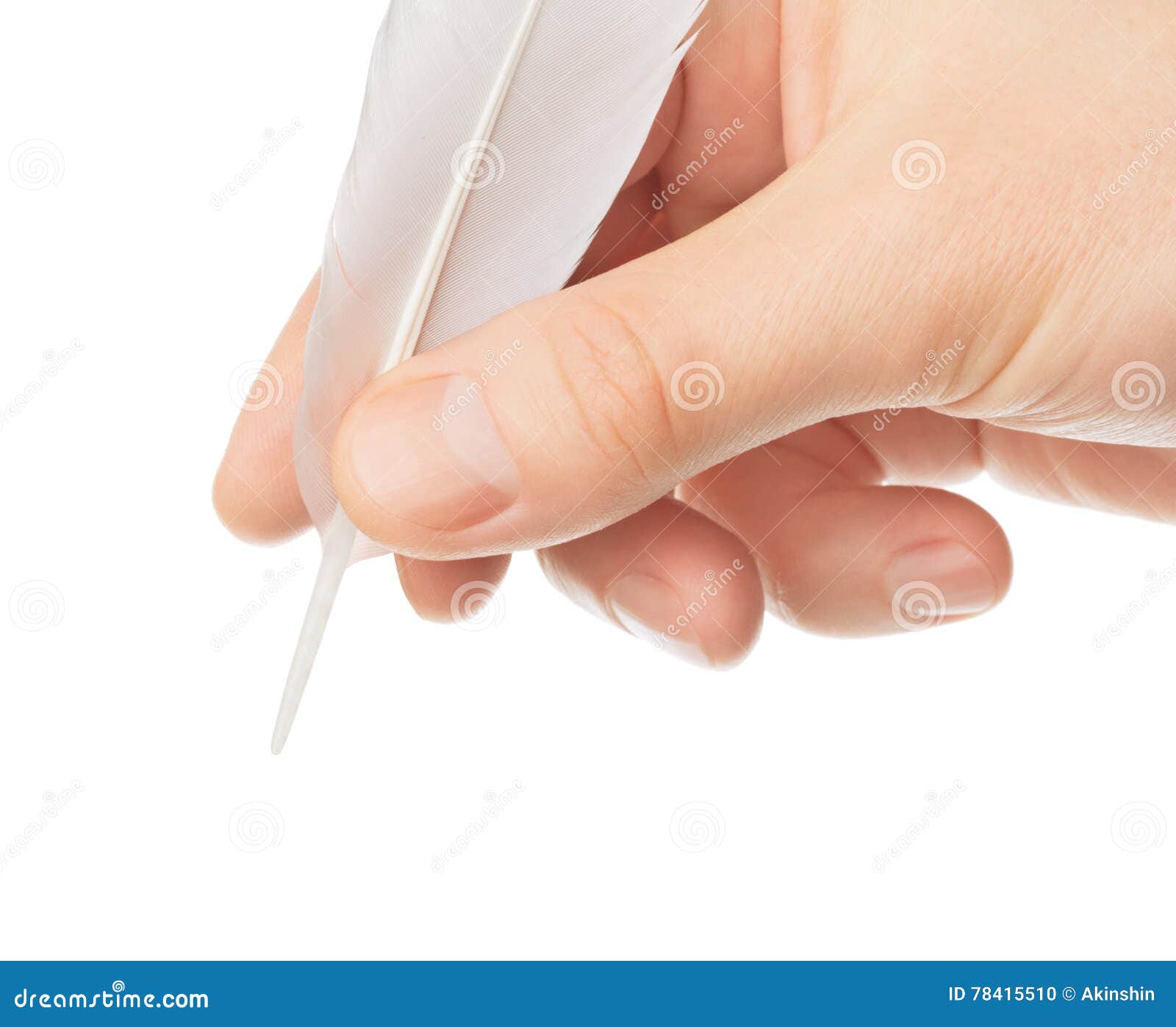 Hand Schreibt Etwas Ein Bird& X27; S-Feder Stockfoto - Bild von eleganz ...