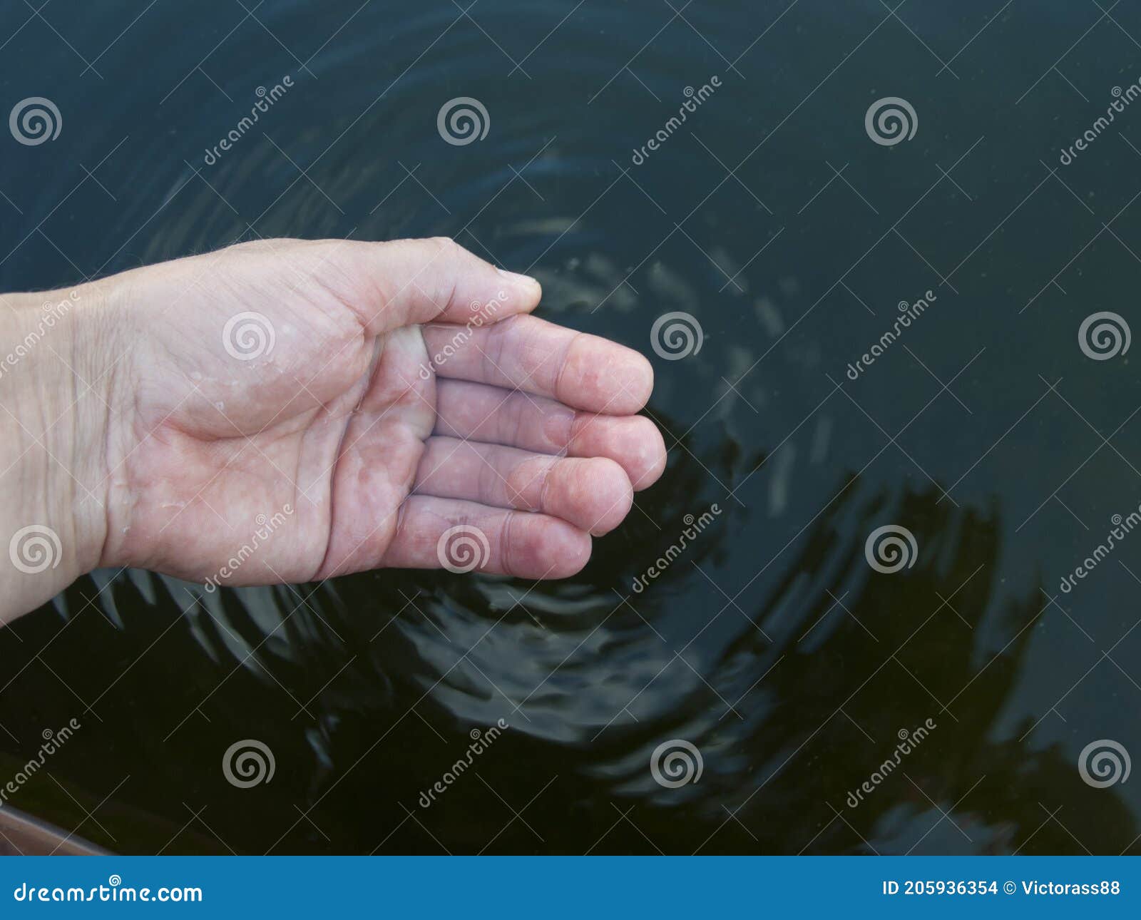 Hand scooping water stock photo. Image of river, summer - 205936354