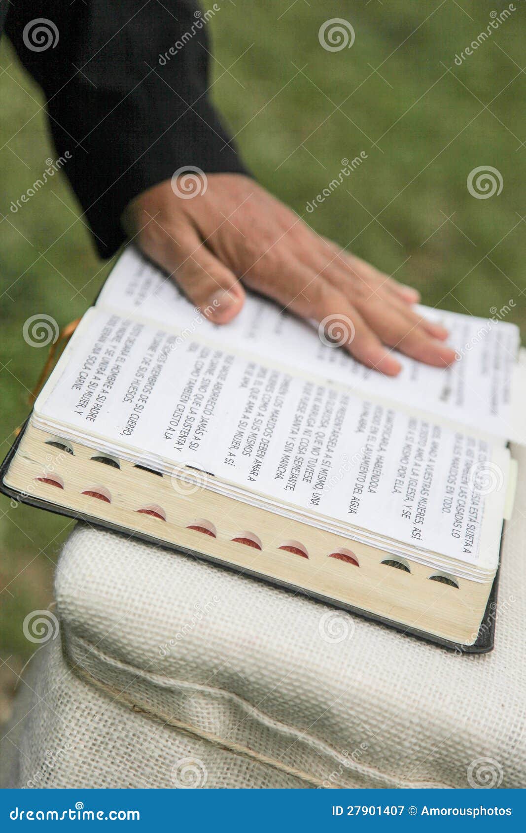 Hand on scripture stock image. Image of religion, sections - 27901407