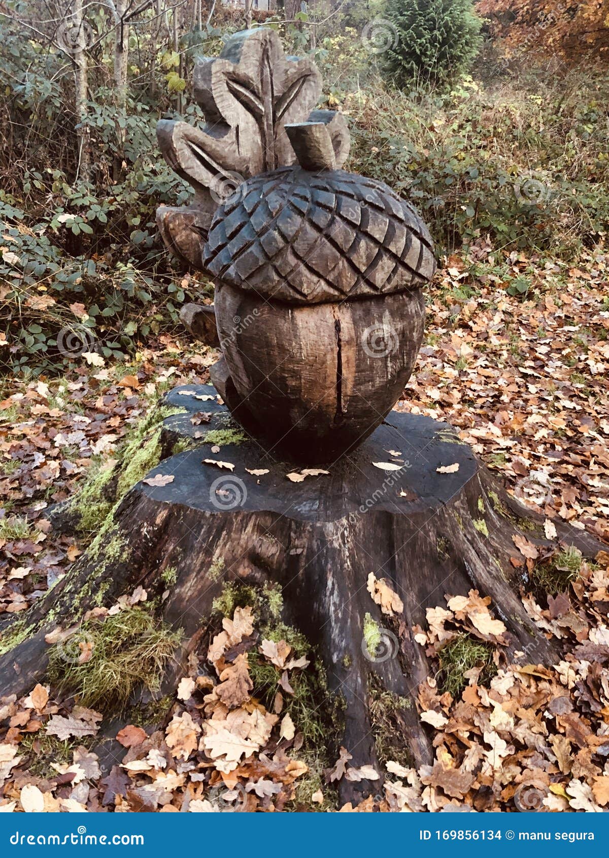 Acorn stock photo. Image of acorn, sculpture, autumn - 169856134