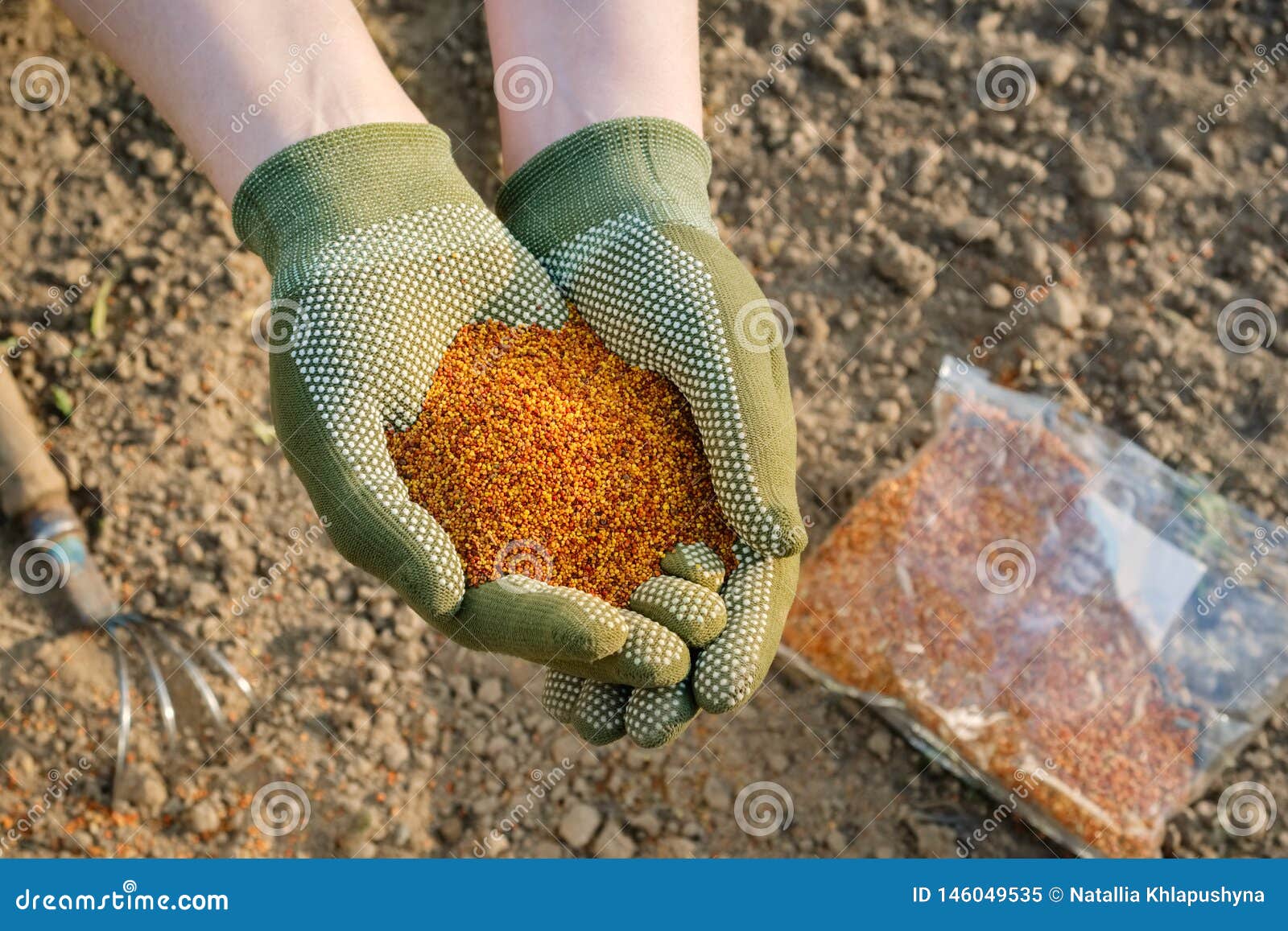 Hand with Seeds. Women Hand Planting Seeds. Stock Image - Image of ...