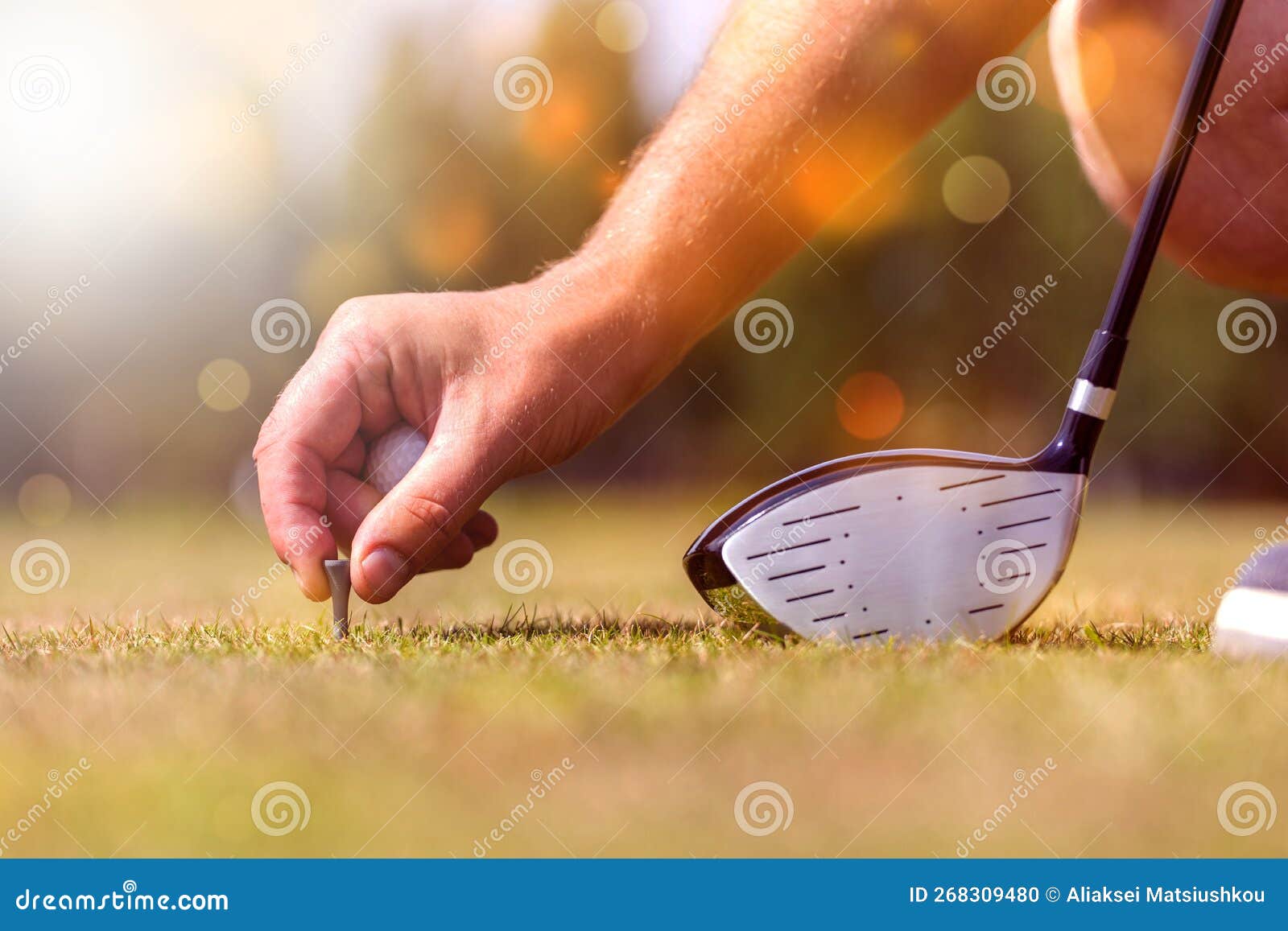 A Hand Sets a Golf Tee on a Golf Course. Stock Photo - Image of ...