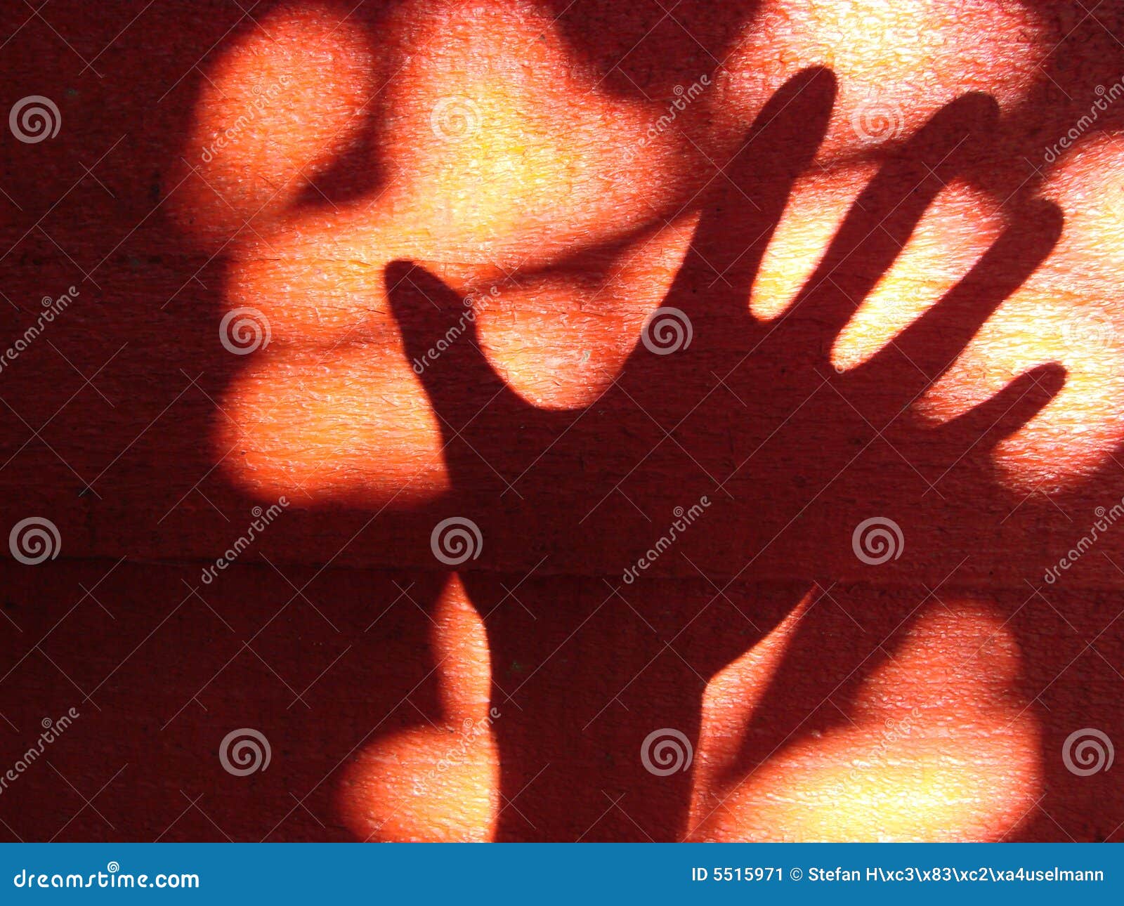 Hand Shadow Picture. Image: 5515971