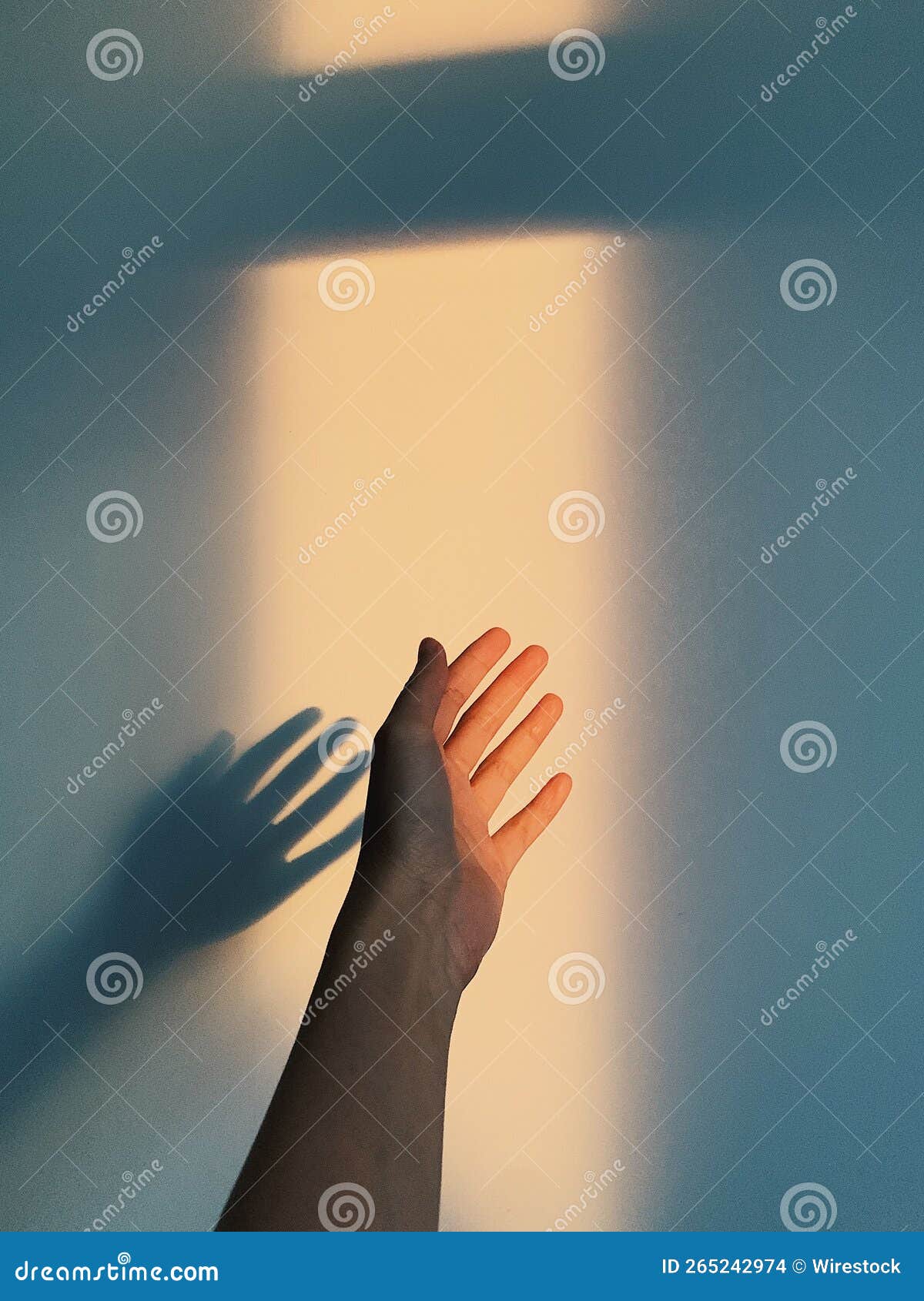 Hand Shadow Aesthetic Background Stock Photo - Image of design ...