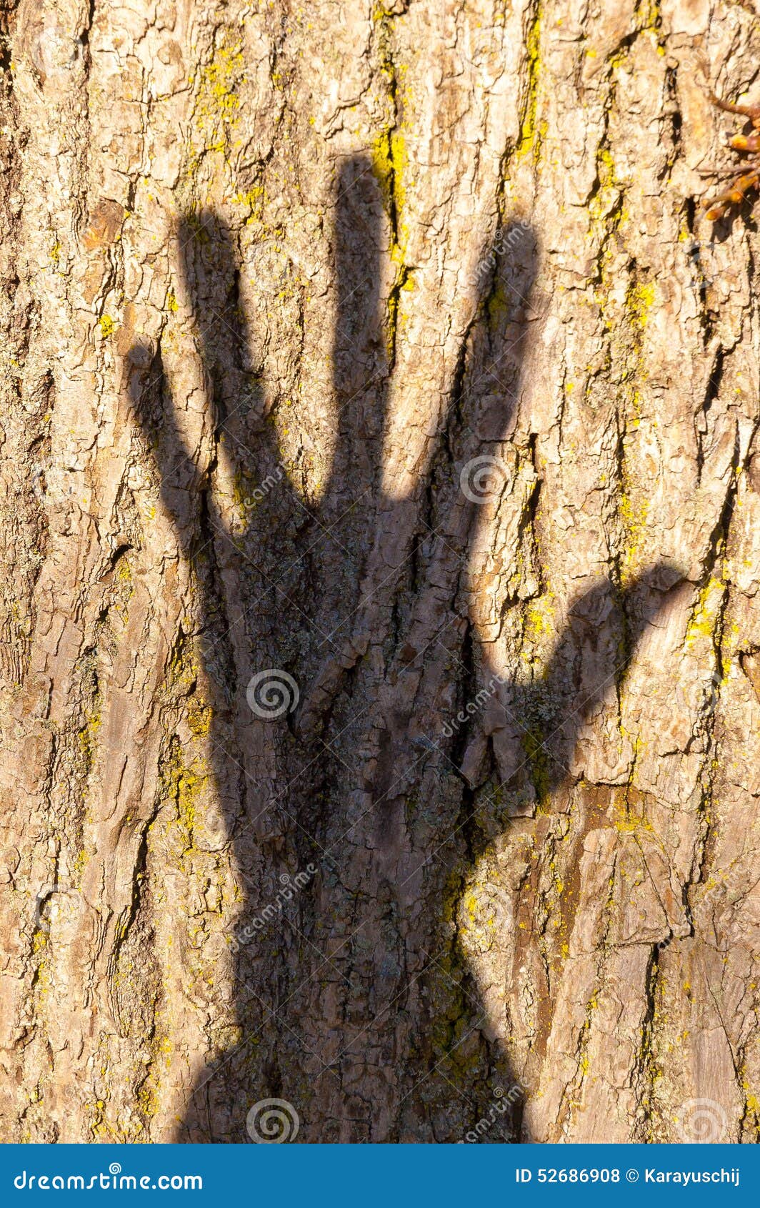 Hand Shadow on Tree stock photo. Image of spooky, palm - 52686908