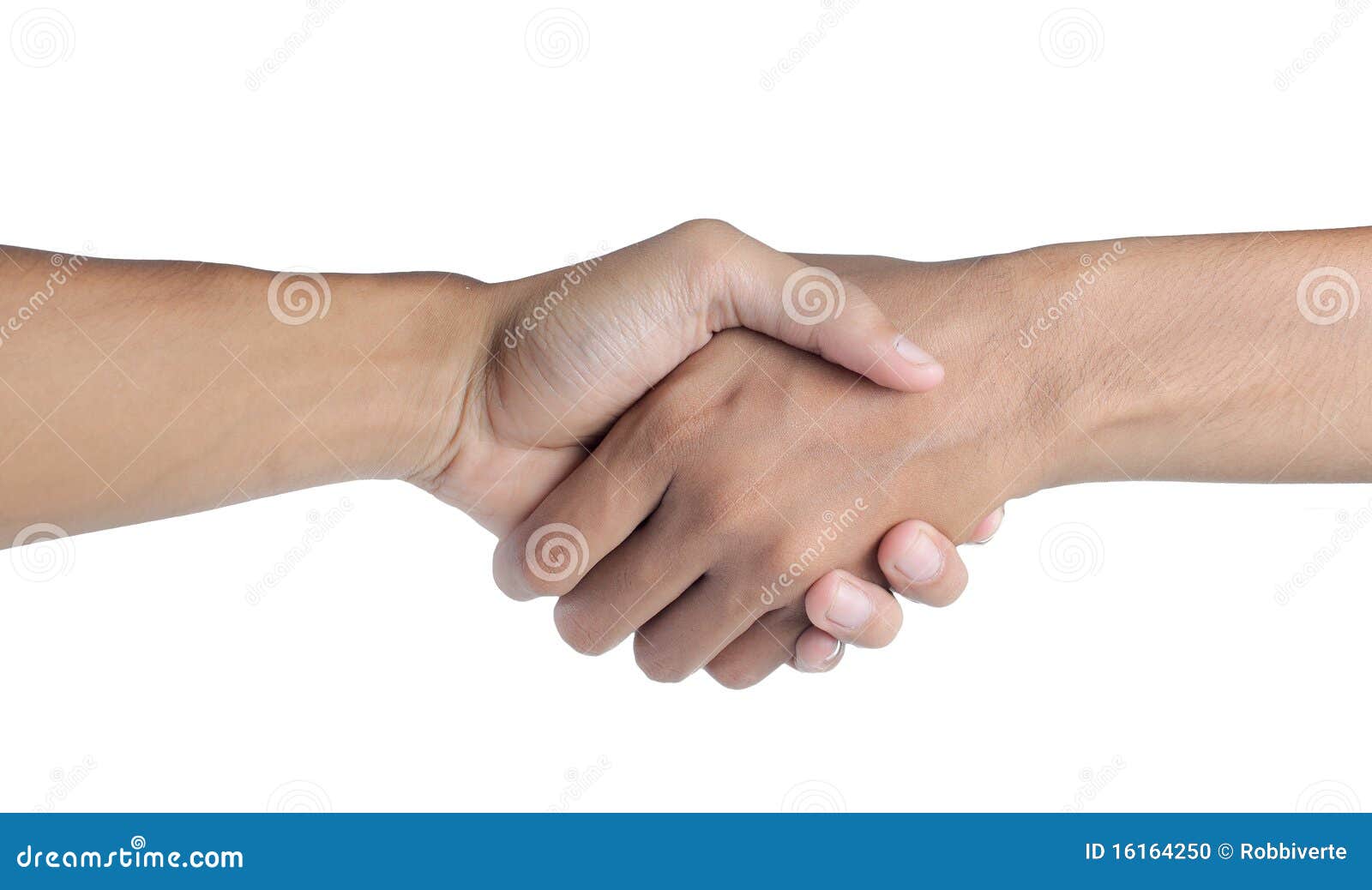 Hand shake stock photo. Image of companions, communication - 16164250