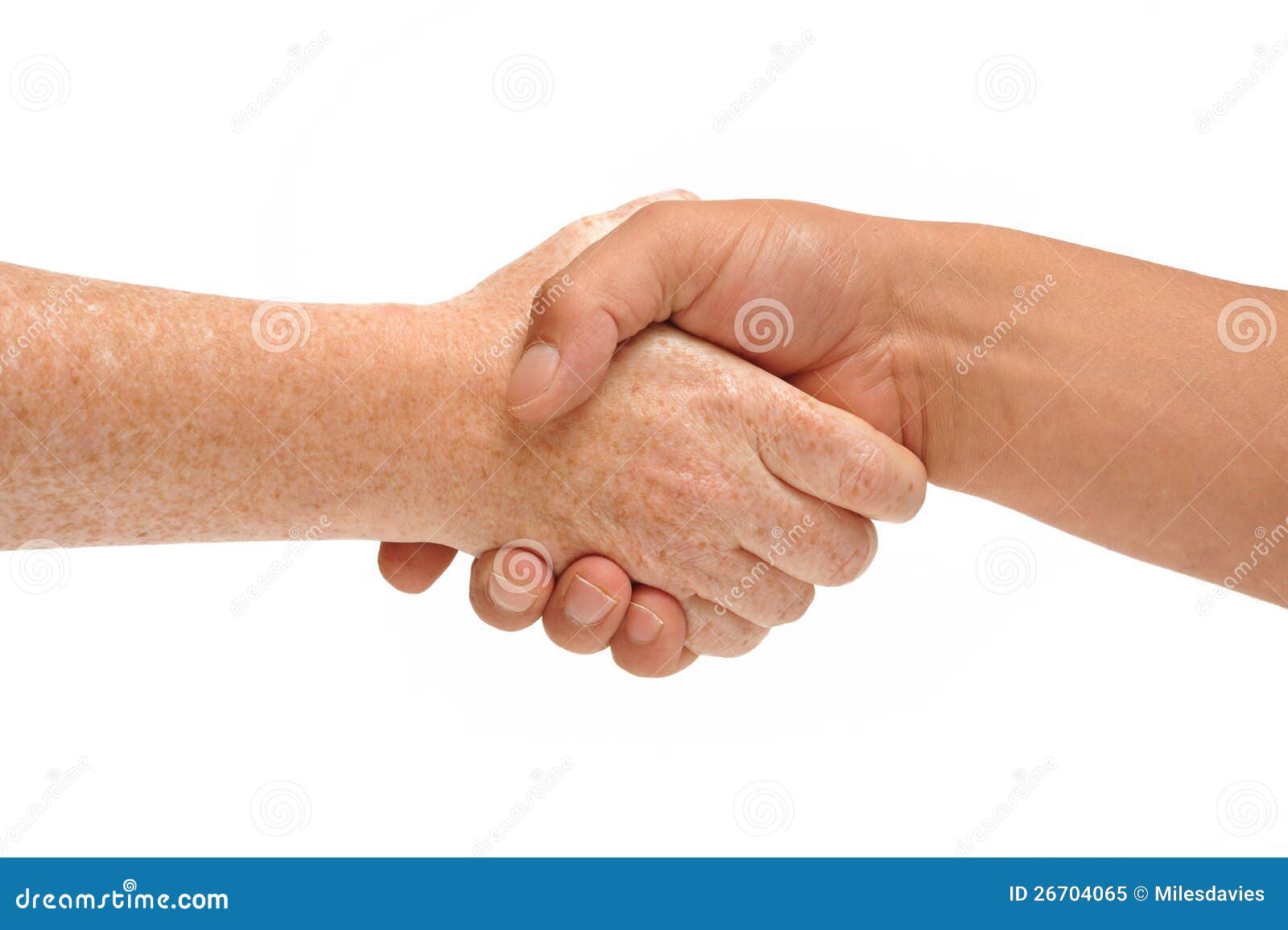 Hand shake stock image. Image of hands, greeting, humanhands - 26704065