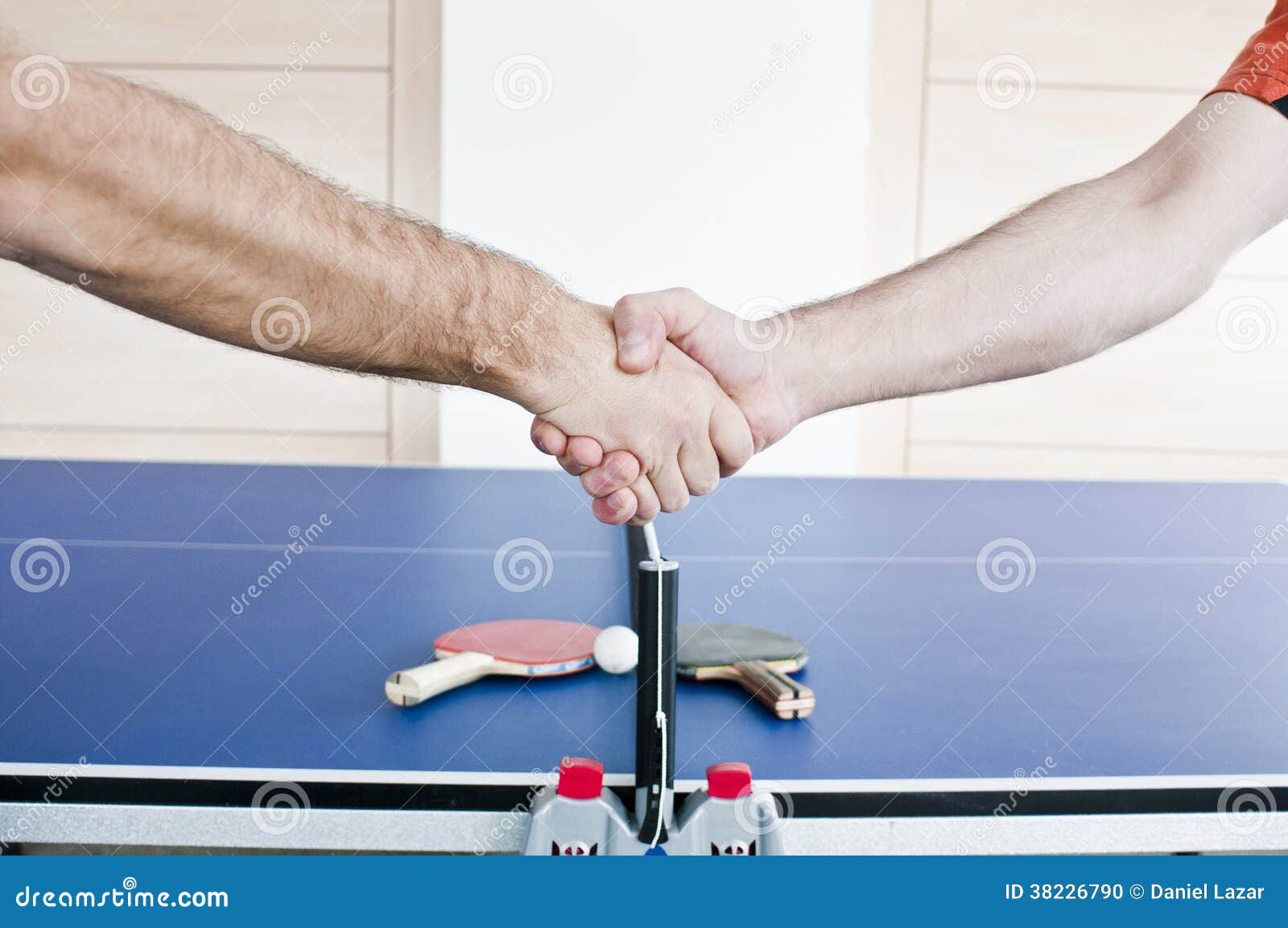 Hand shake stock photo. Image of handshake, race, diverse - 38226790