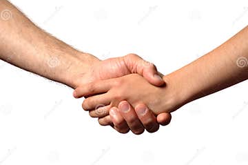 Hand Shake stock image. Image of fingers, clasp, skin, woman - 497871