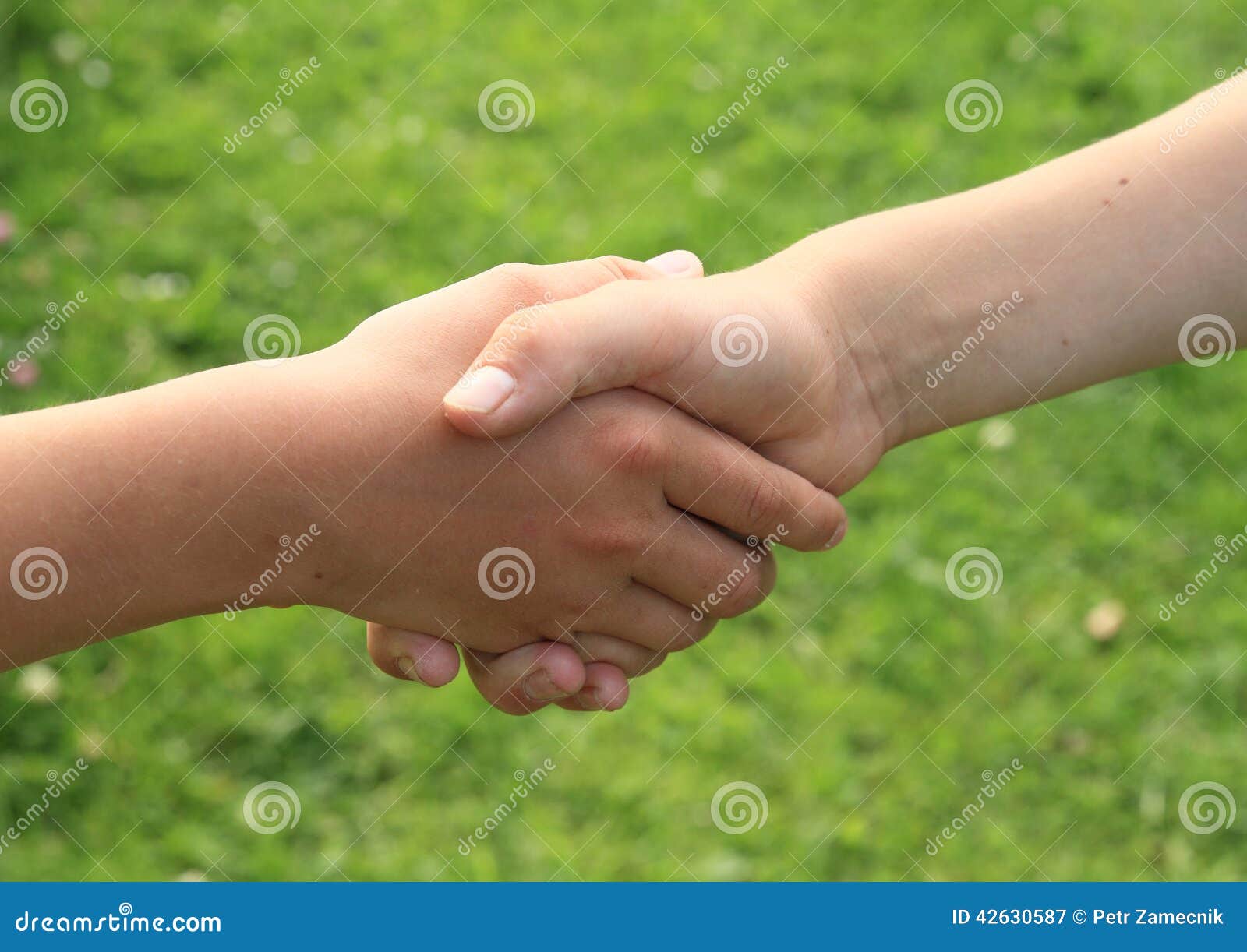 Hand shake stock image. Image of agreement, shake, child - 42630587