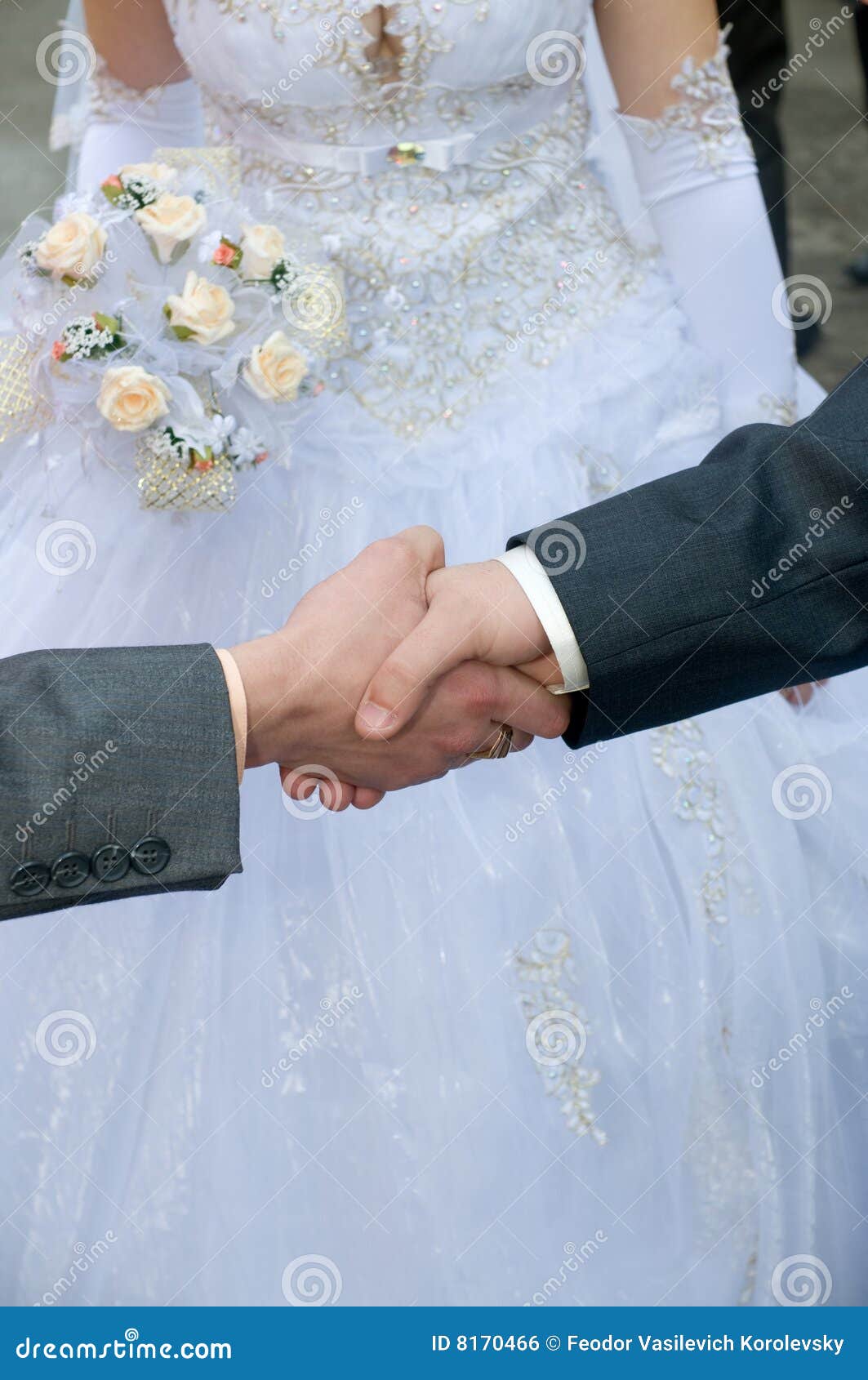 Hand Shake - a Congratulation. Stock Photo - Image of wedding, shake ...