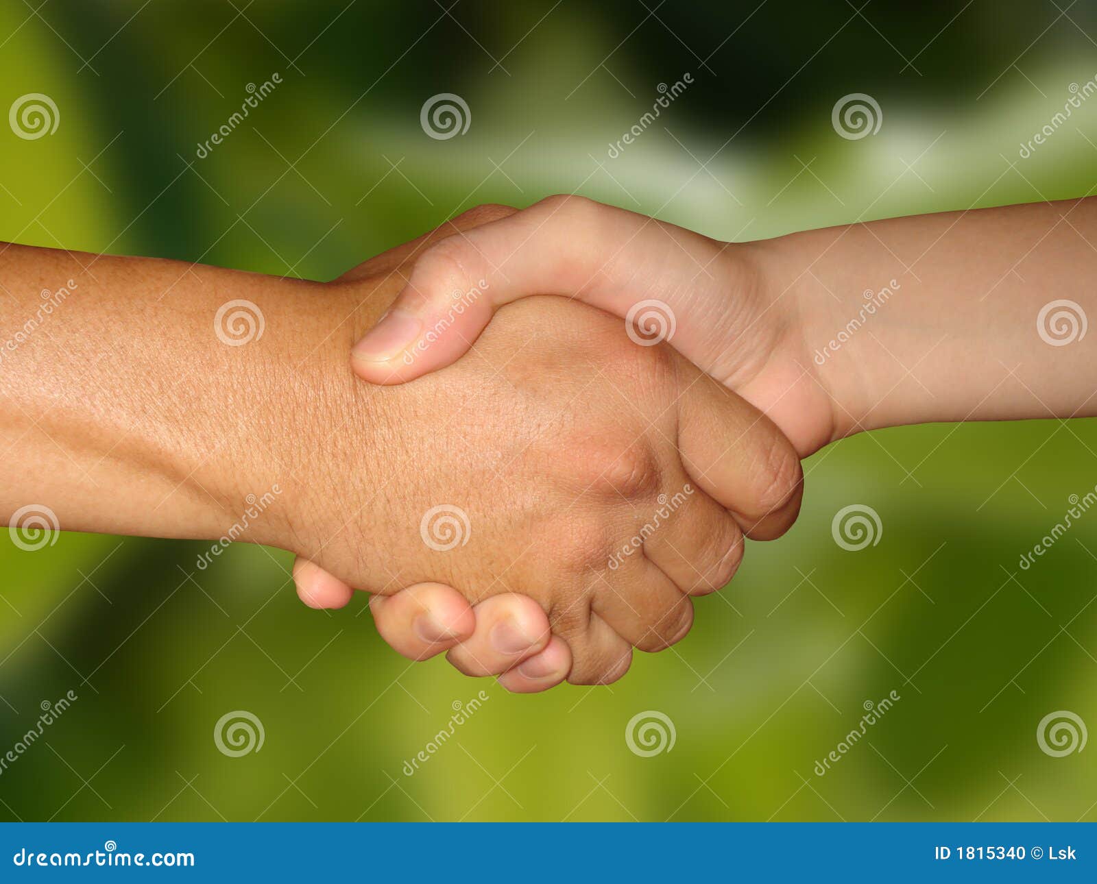 Hand Shake & Contract stock photo. Image of conceptual - 1815340