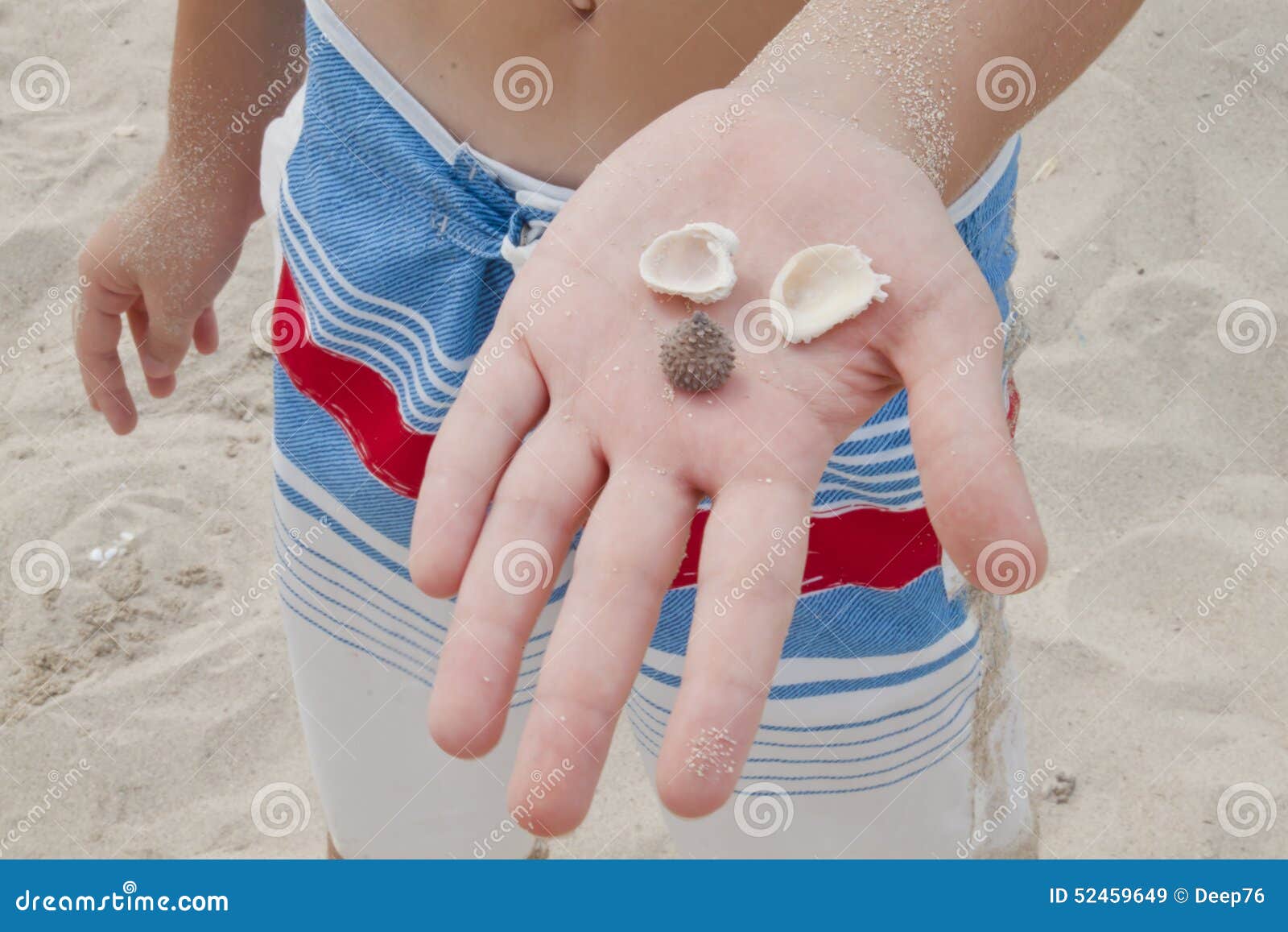 Hand and Shell stock image. Image of themes, human, objects - 52459649