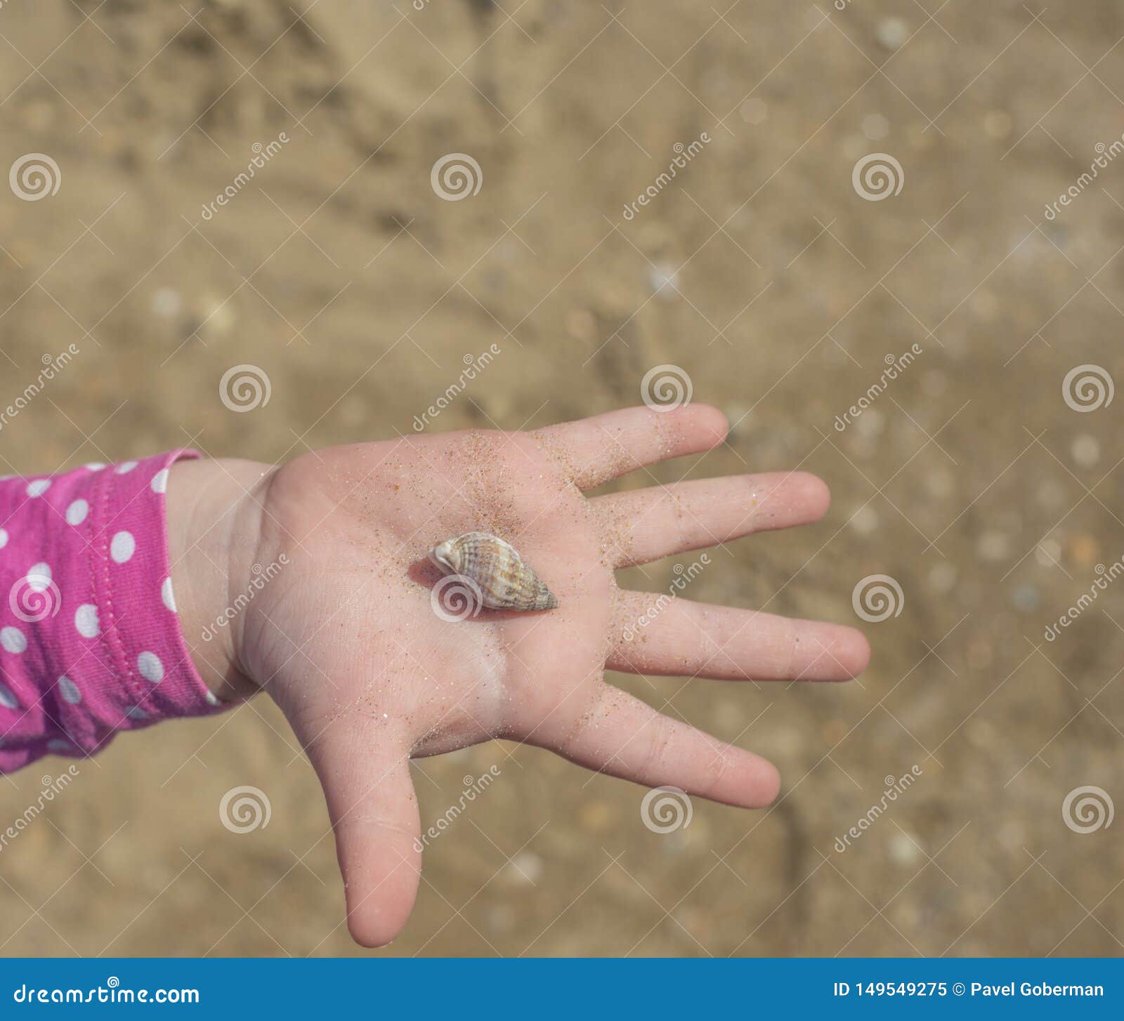 The Hand with the Shell on Sand Background. Children`s Hand Holding a ...