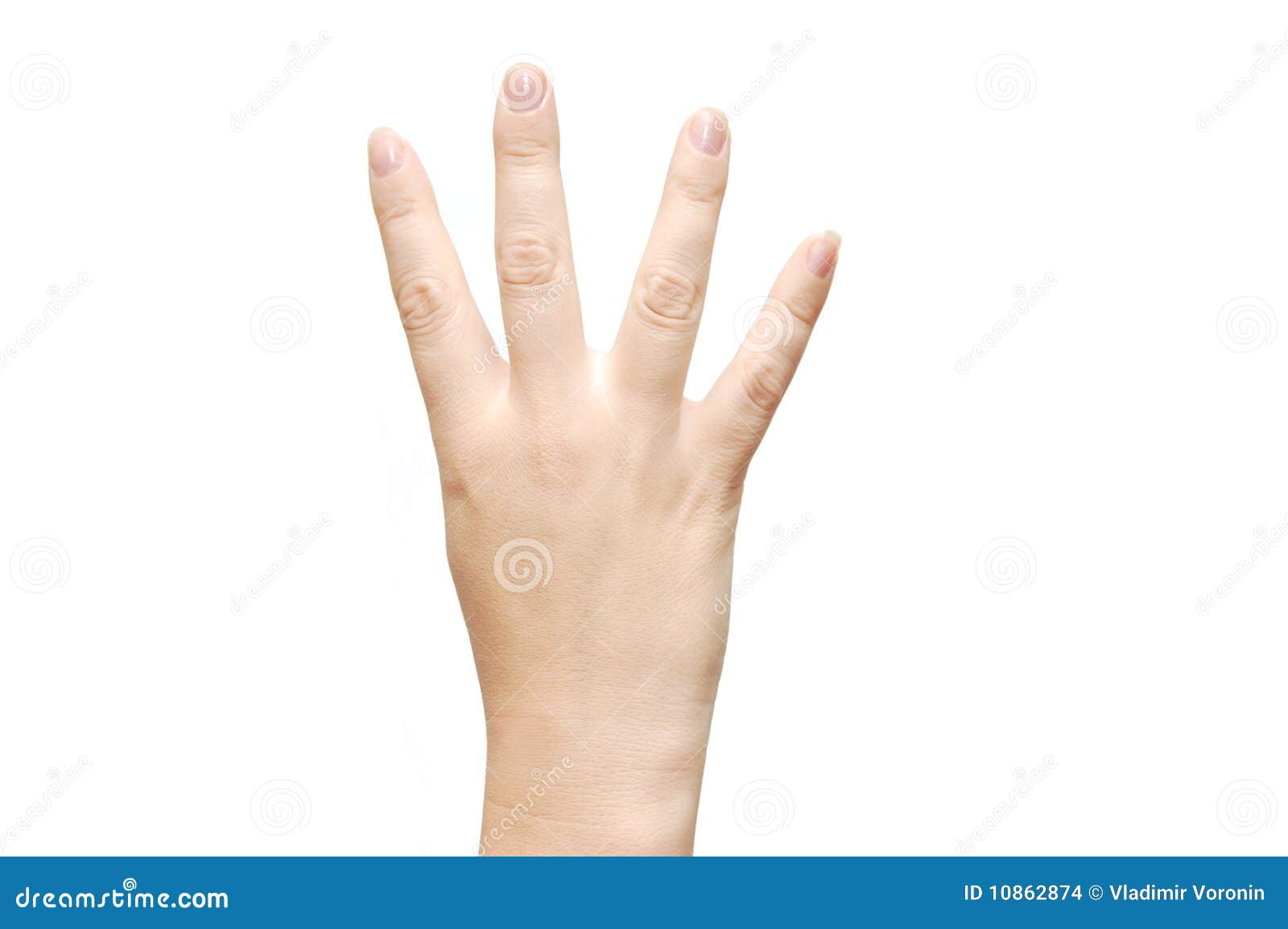 Hand show the number four stock photo. Image of number - 10862874