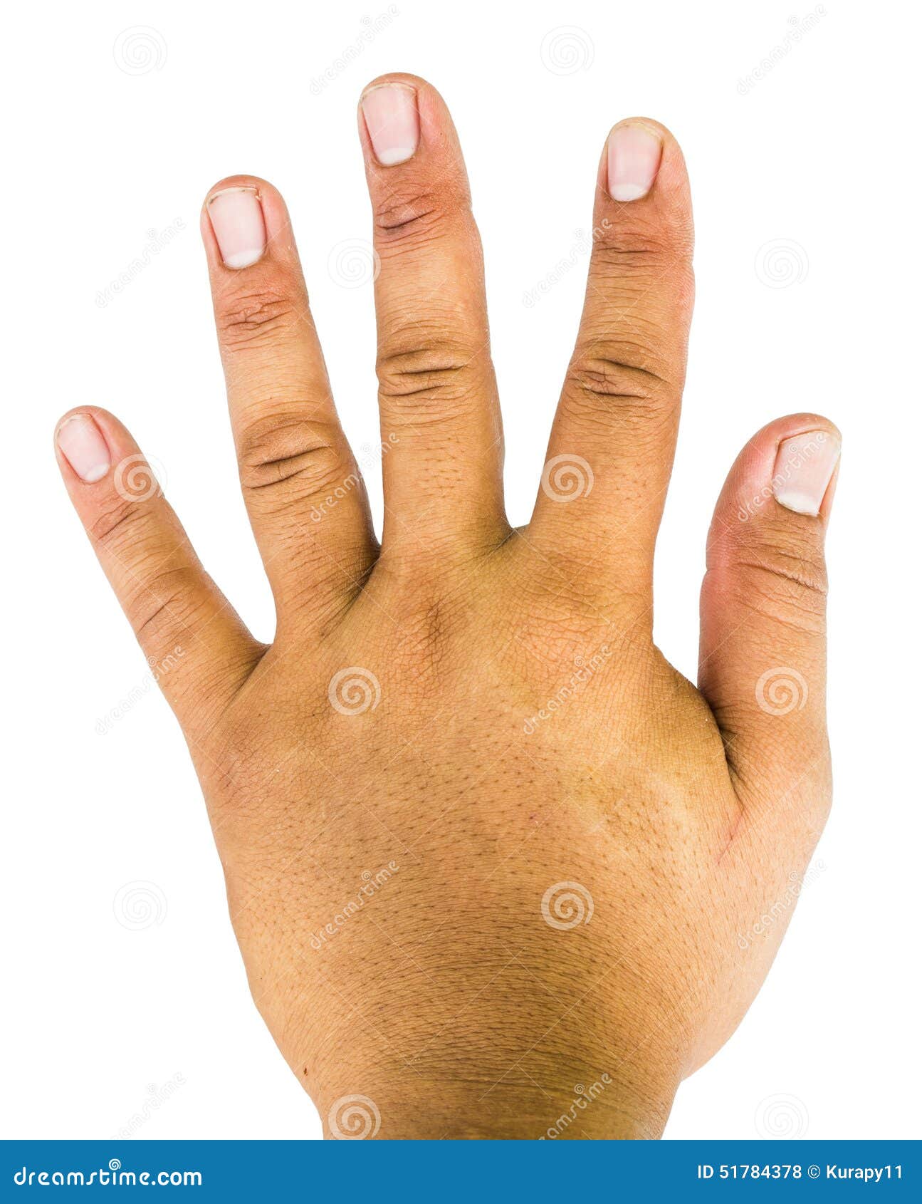 Hand showing five count stock photo. Image of body, back - 51784378