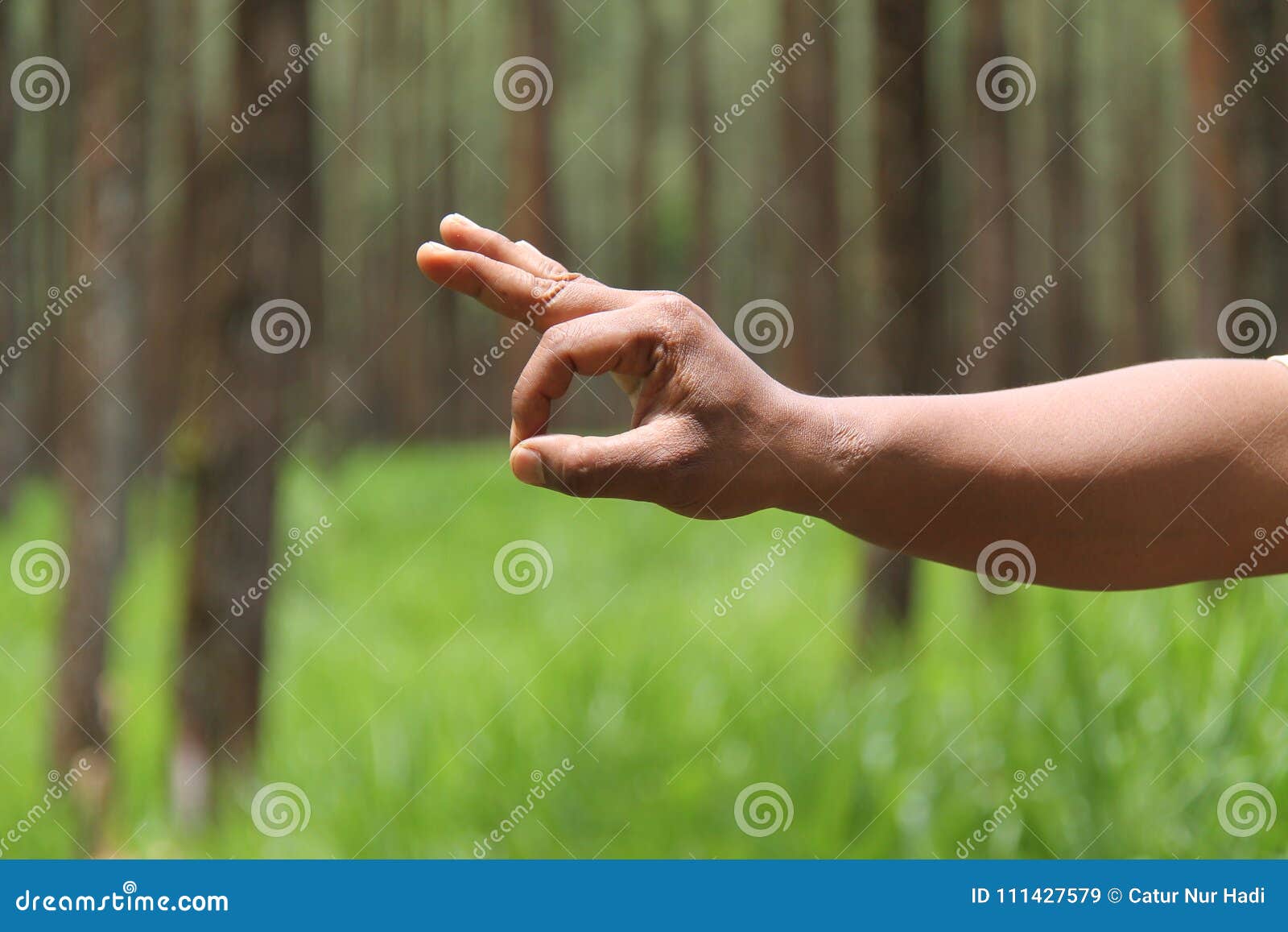 Hand Showing Gesture, Version 1 Stock Image - Image of healthcare, hand ...