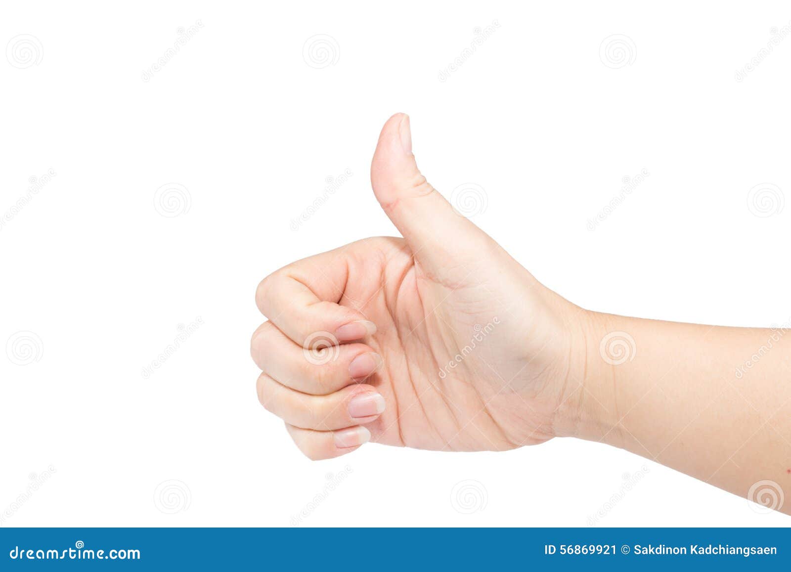 Hand showing like stock image. Image of hand, share, like - 56869921