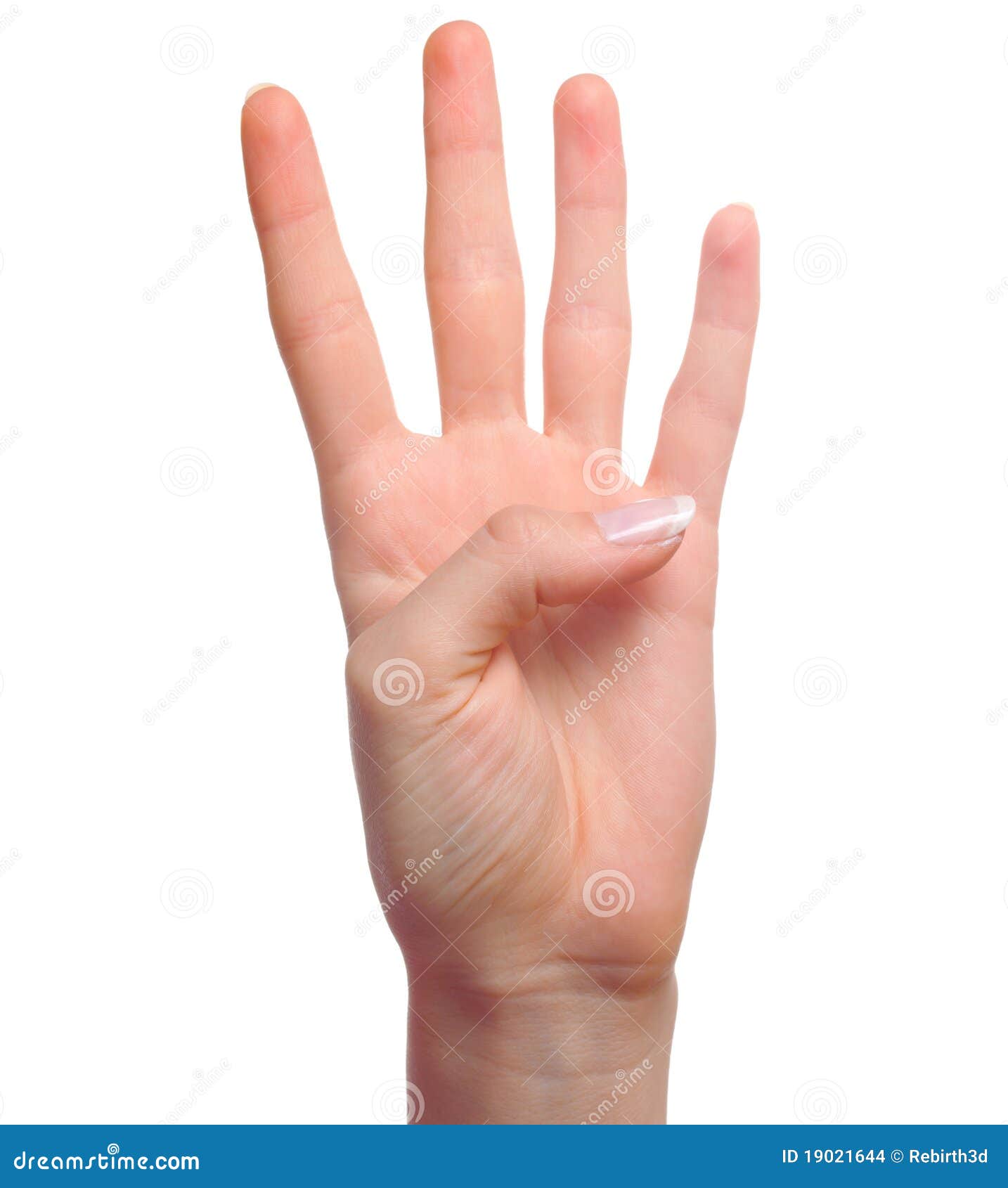 Hand showing number four stock photo. Image of adult - 19021644